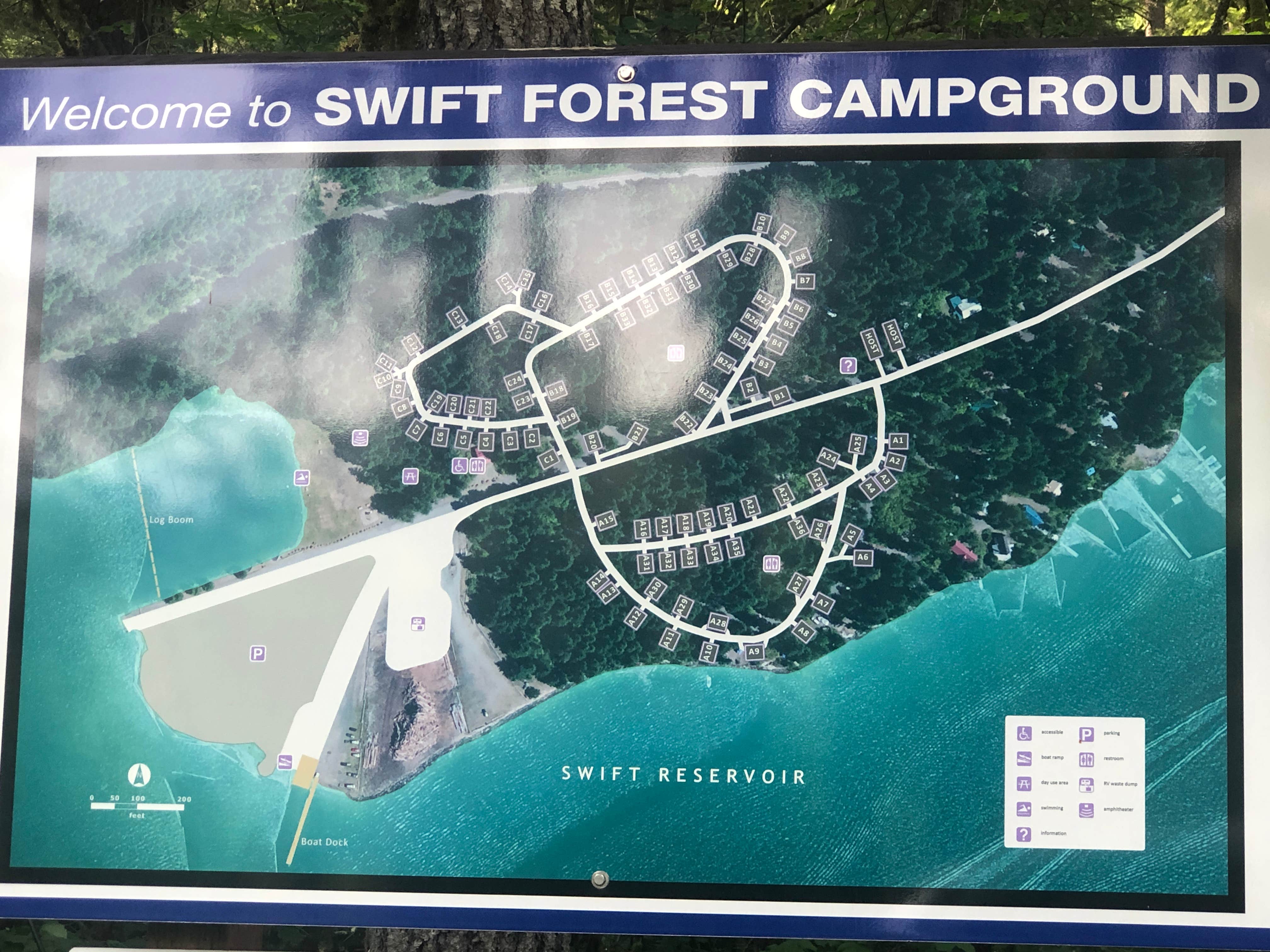 Swift Forest Camp | The Dyrt