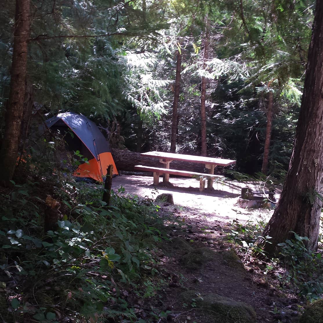 Indigo Springs — Willamette National Forest Camping | Clearwater, Oregon