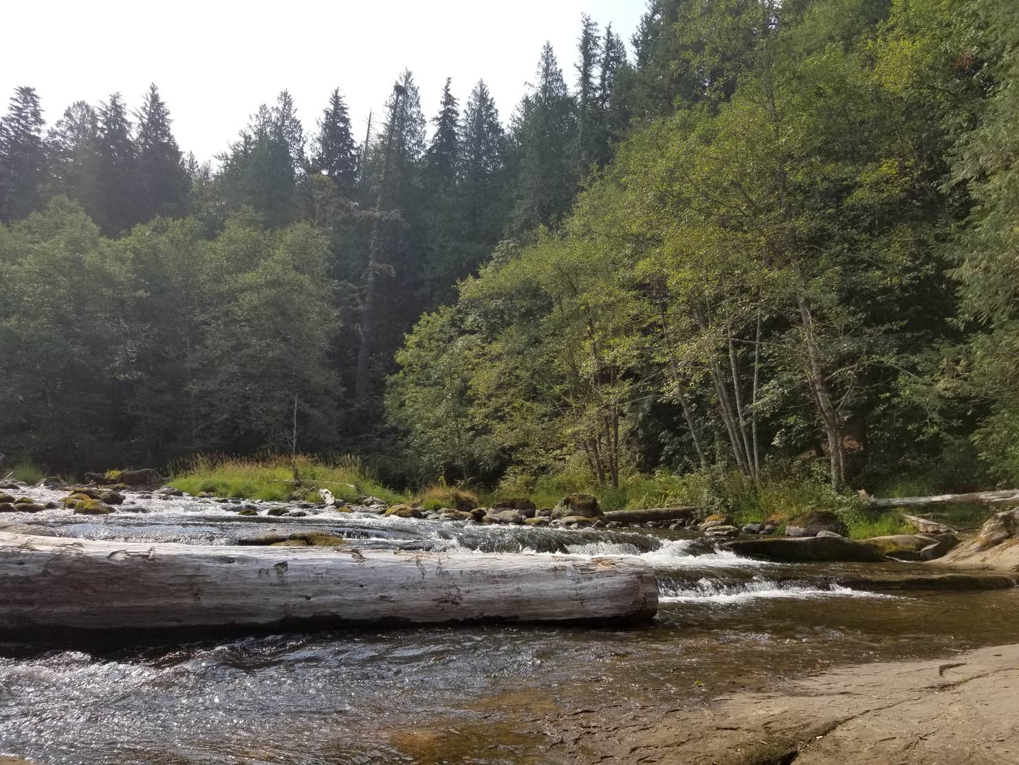 Kanaskat-Palmer State Park Camping | The Dyrt