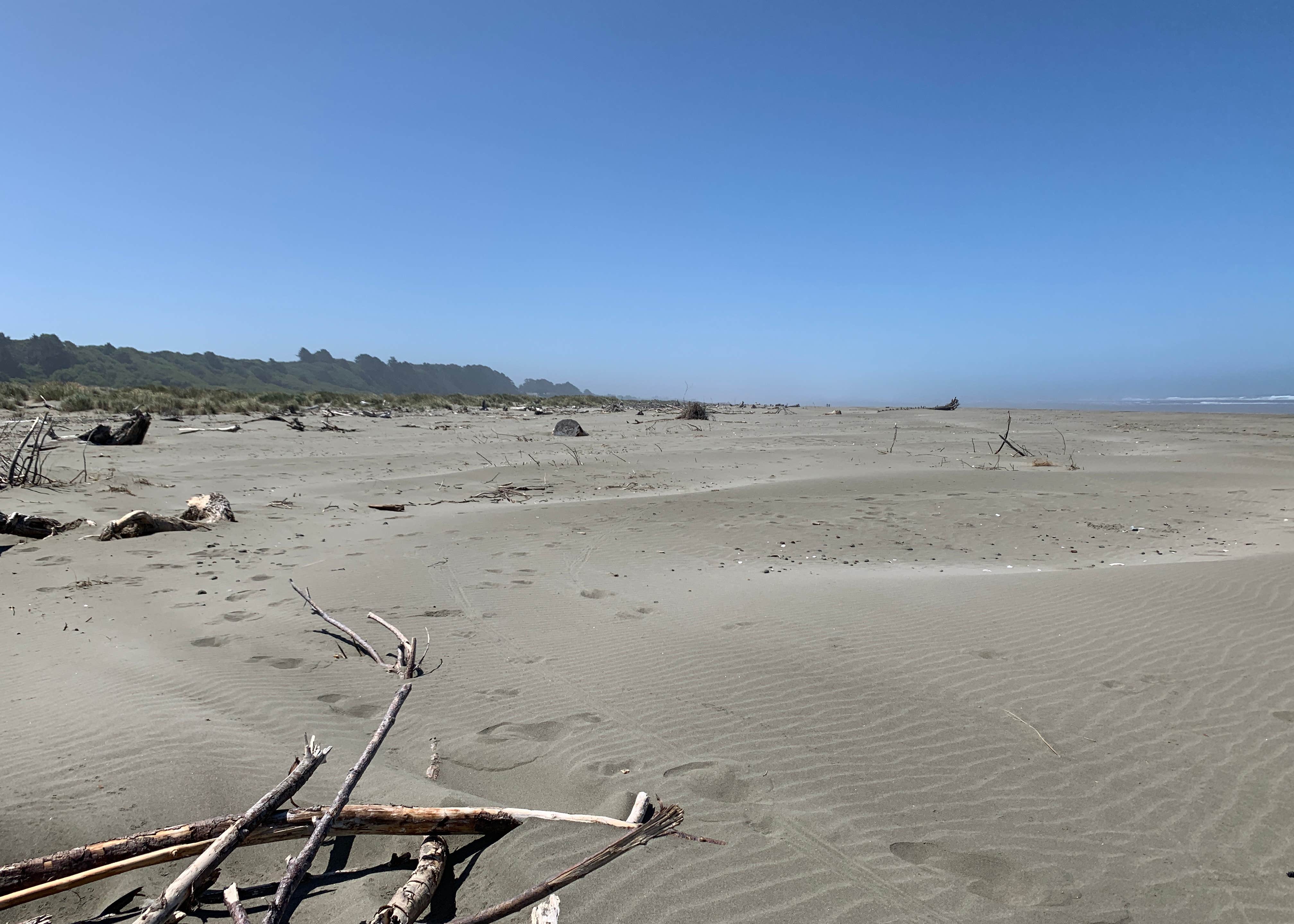 Clam Beach County Park Camping | The Dyrt