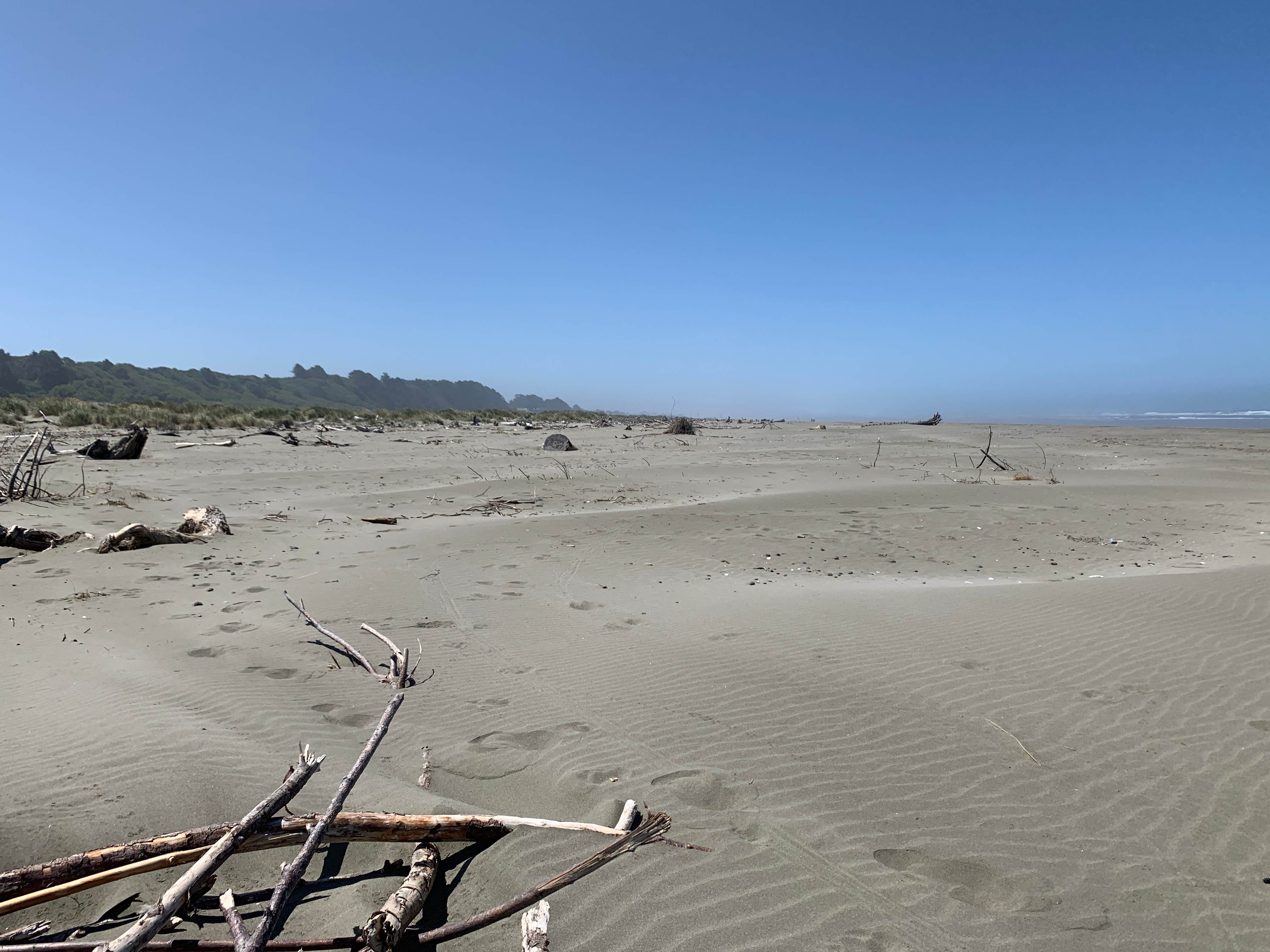Clam Beach County Park Camping | Trinidad, CA