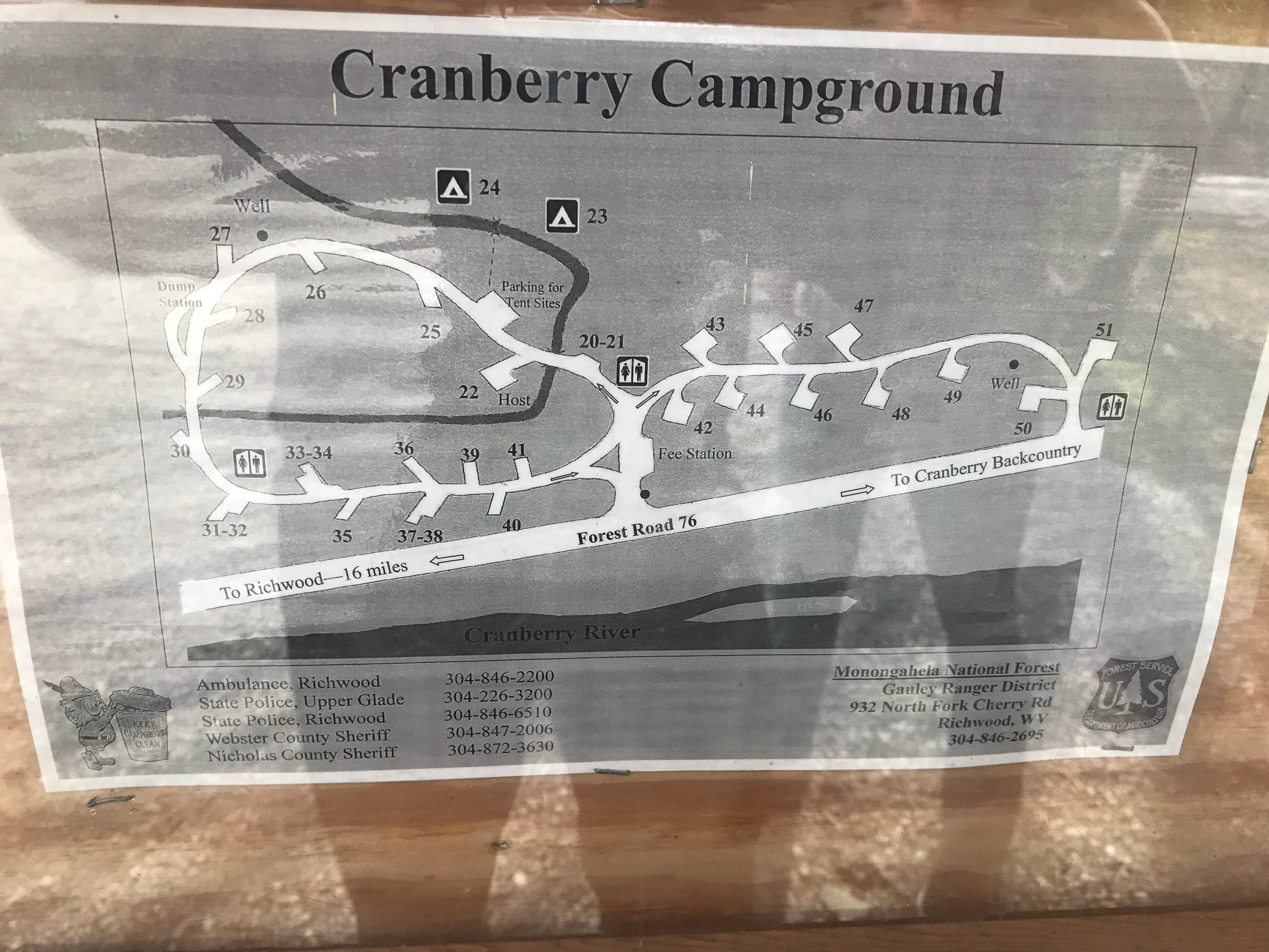 Cranberry River Sites NF Campground | The Dyrt