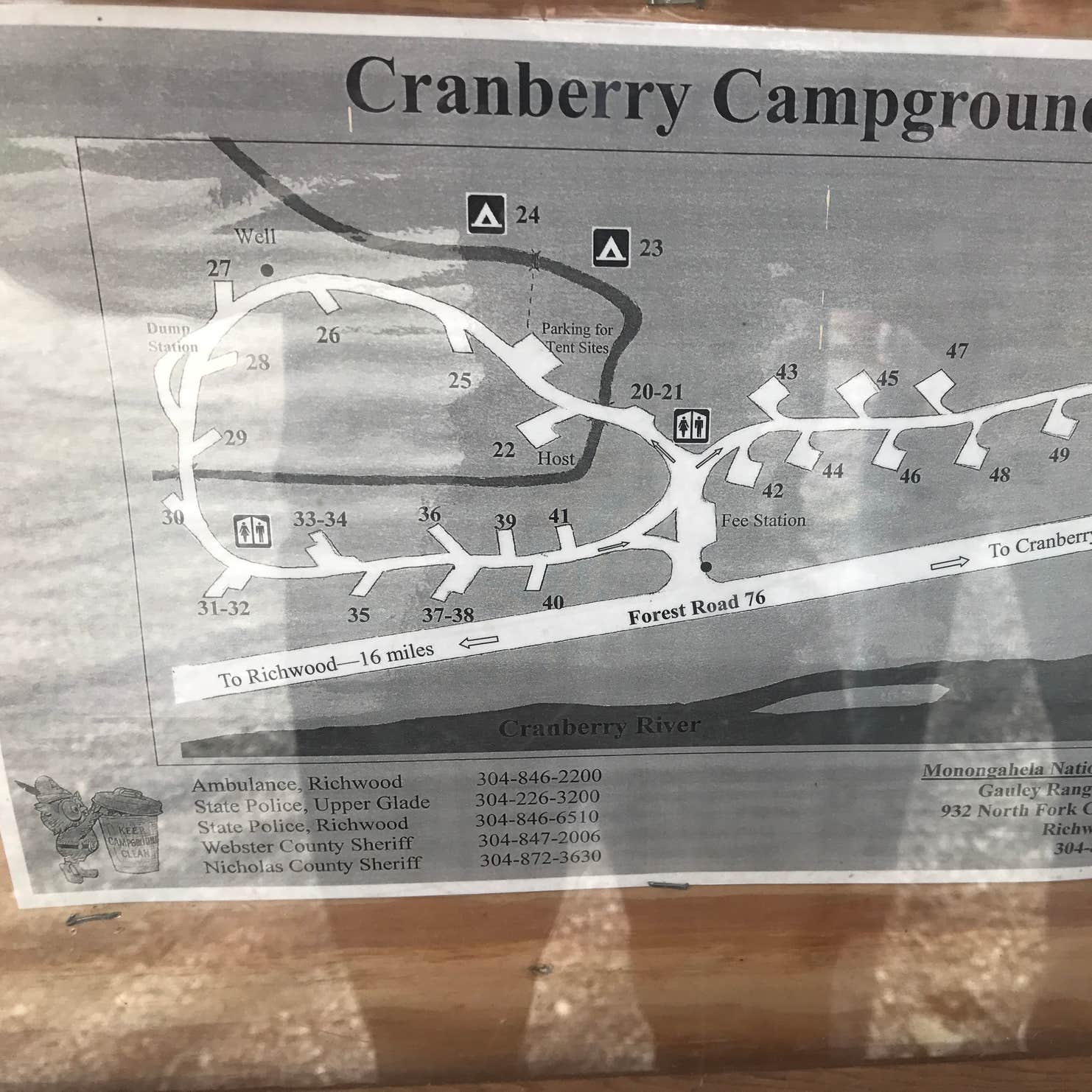 Cranberry River Sites NF Campground | Richwood, West Virginia