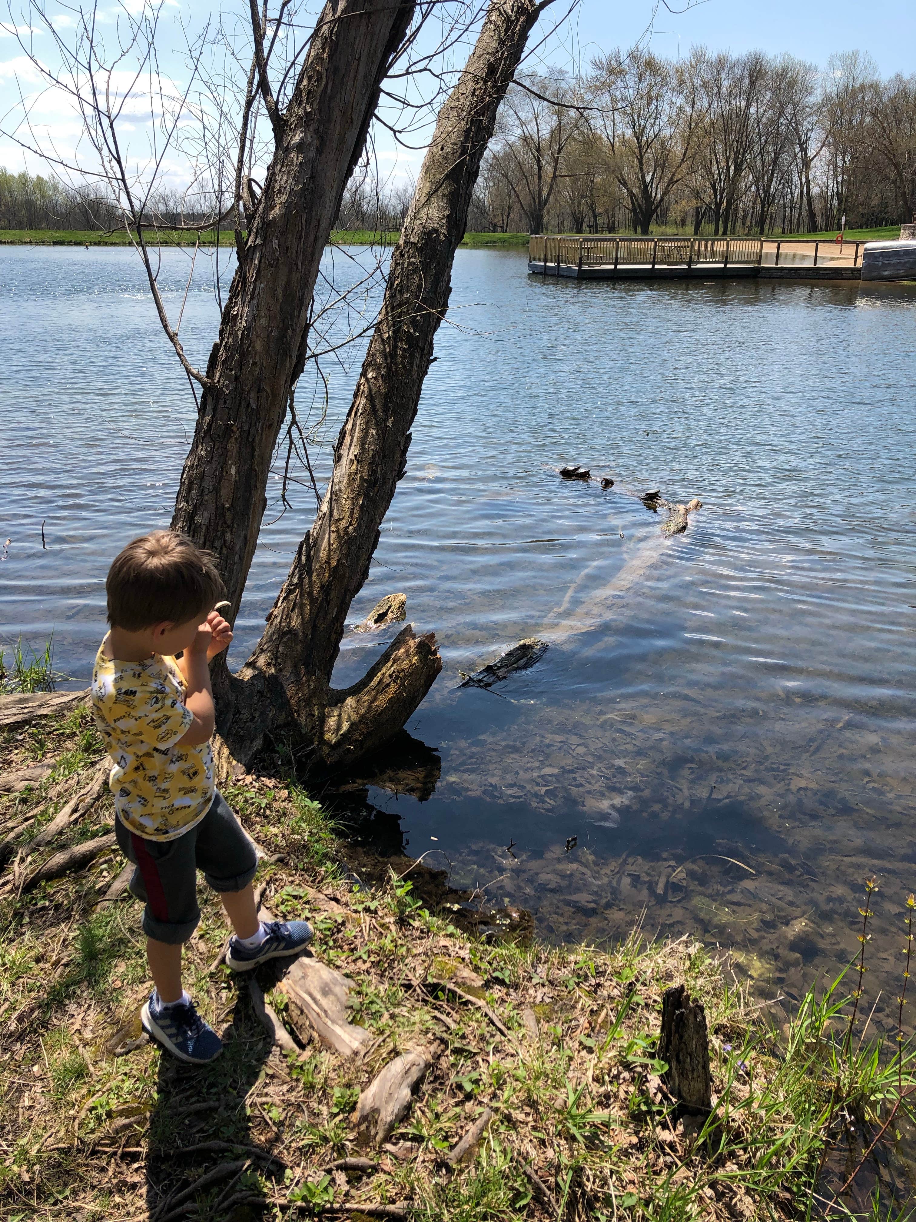 Waukesha County Muskego Park Camping | The Dyrt