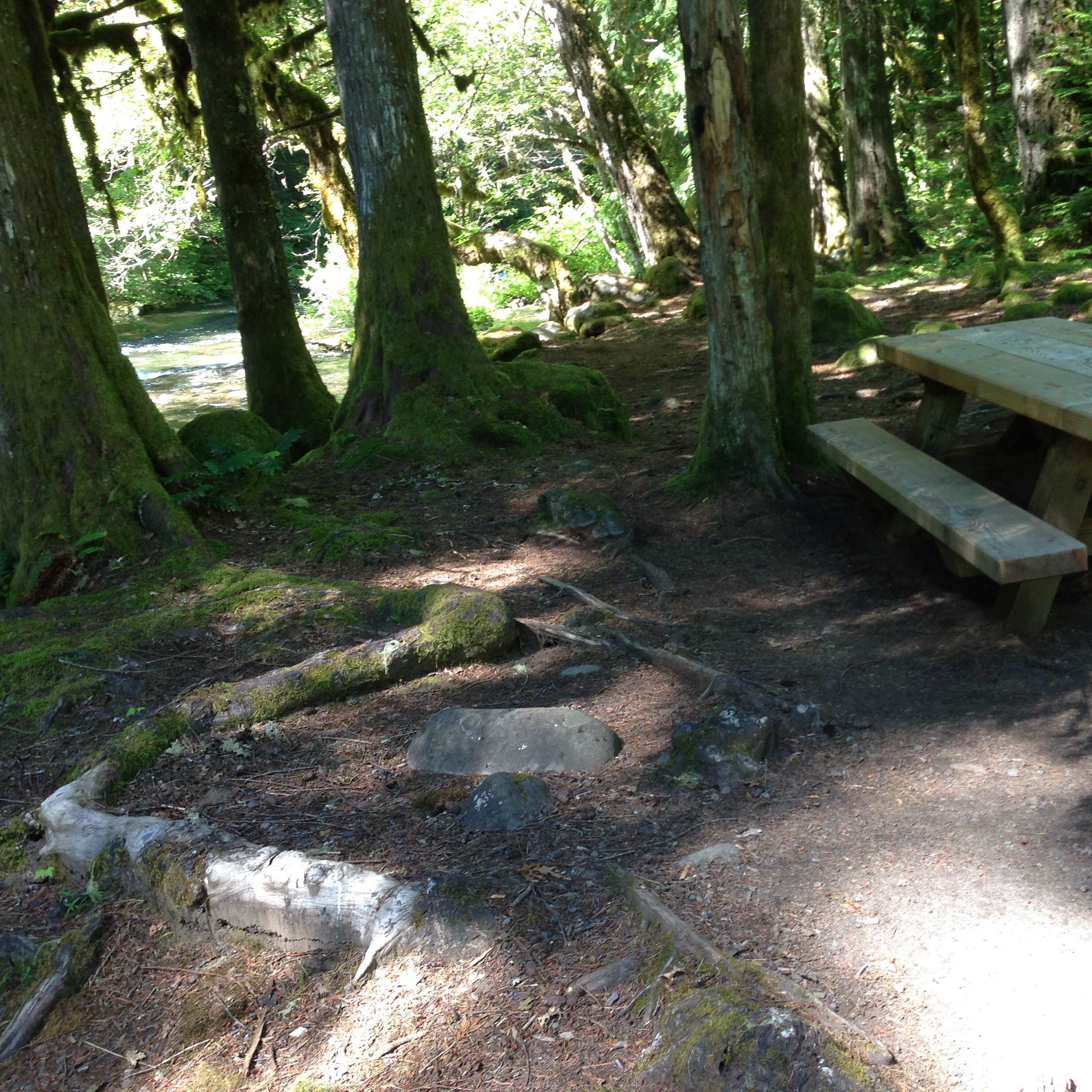 Ripplebrook Campground CLOSED INDEFINITELY DUE TO FIRE Camping | The Dyrt