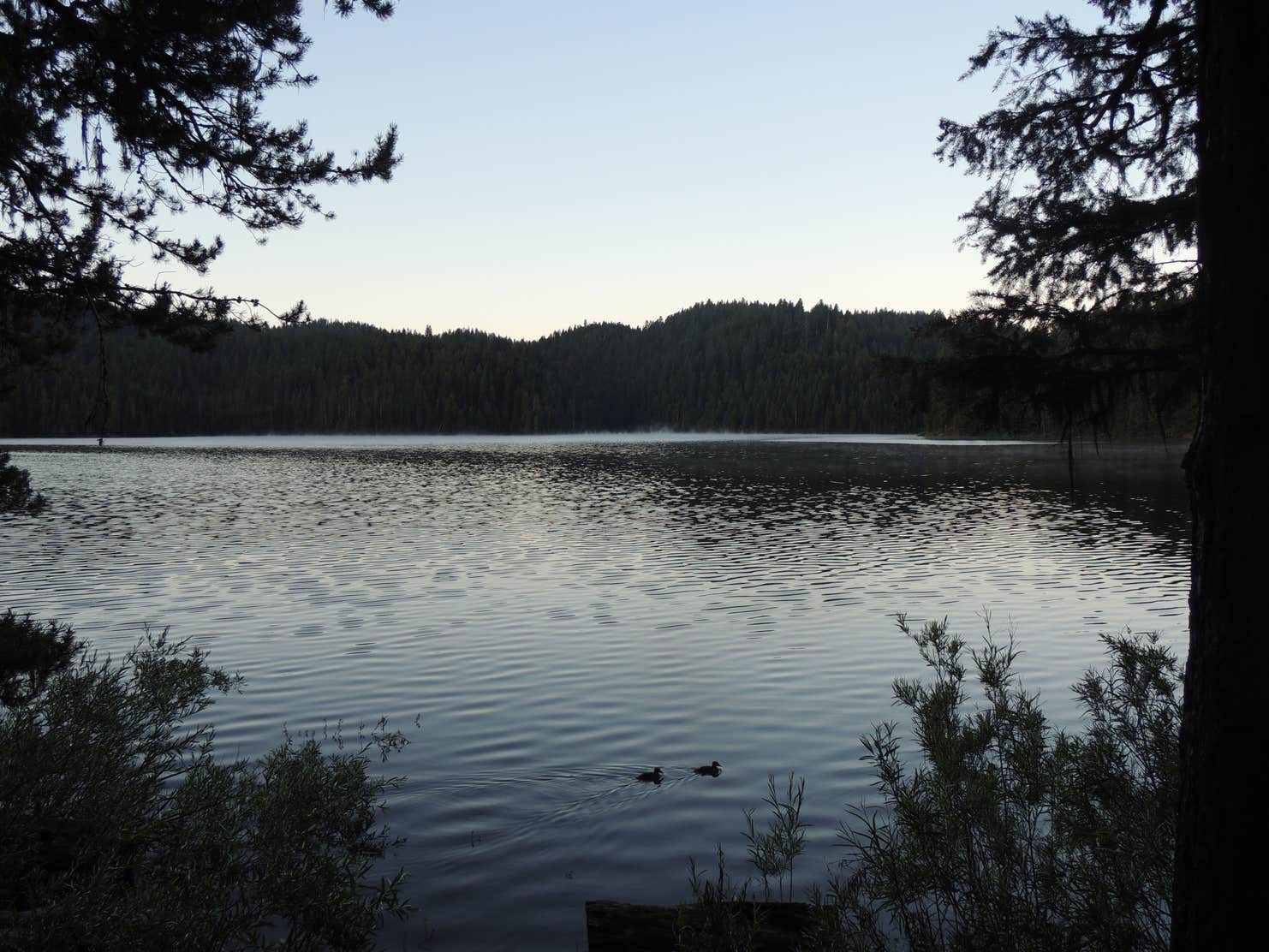 Sagehen Creek | The Dyrt