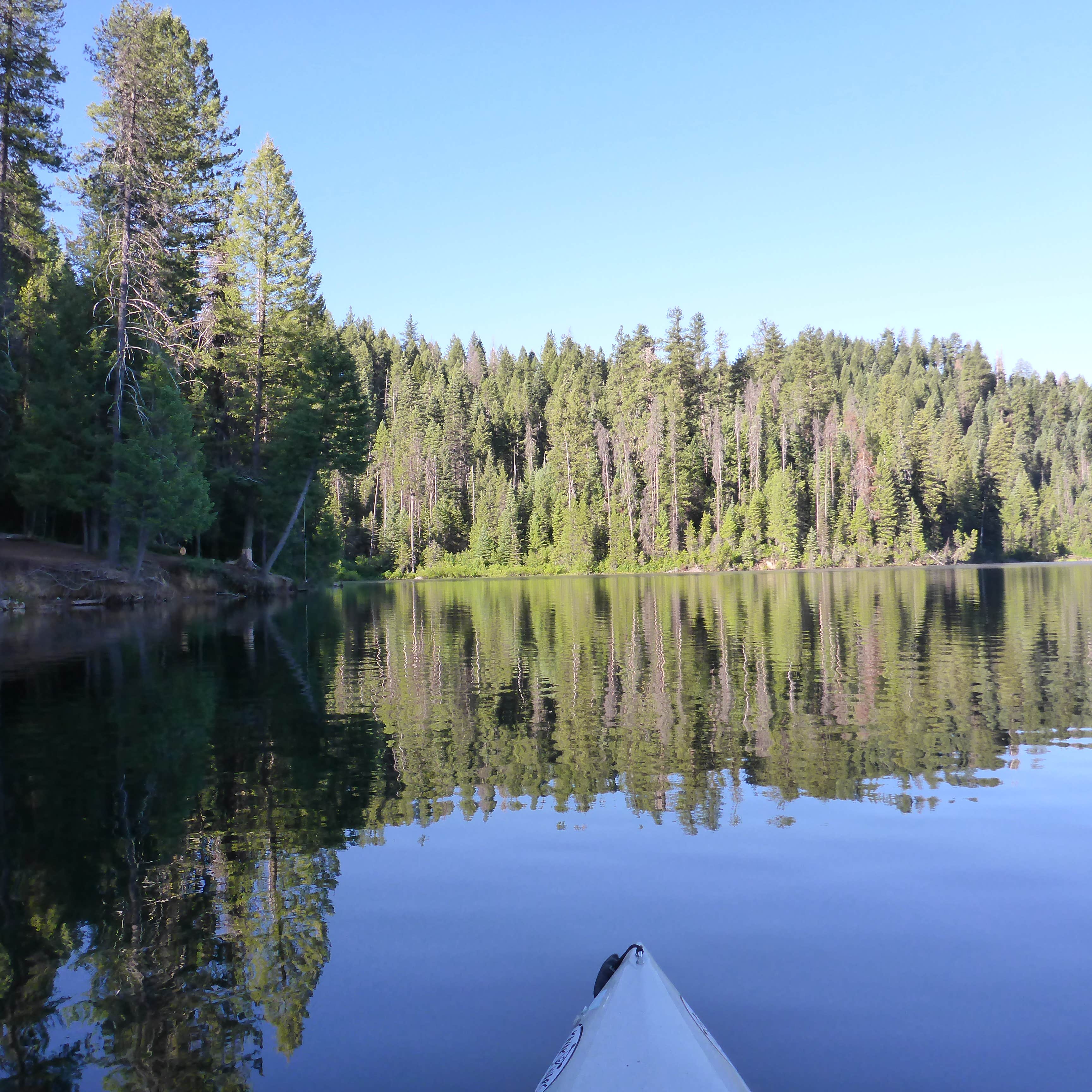 Sagehen Creek Camping | The Dyrt