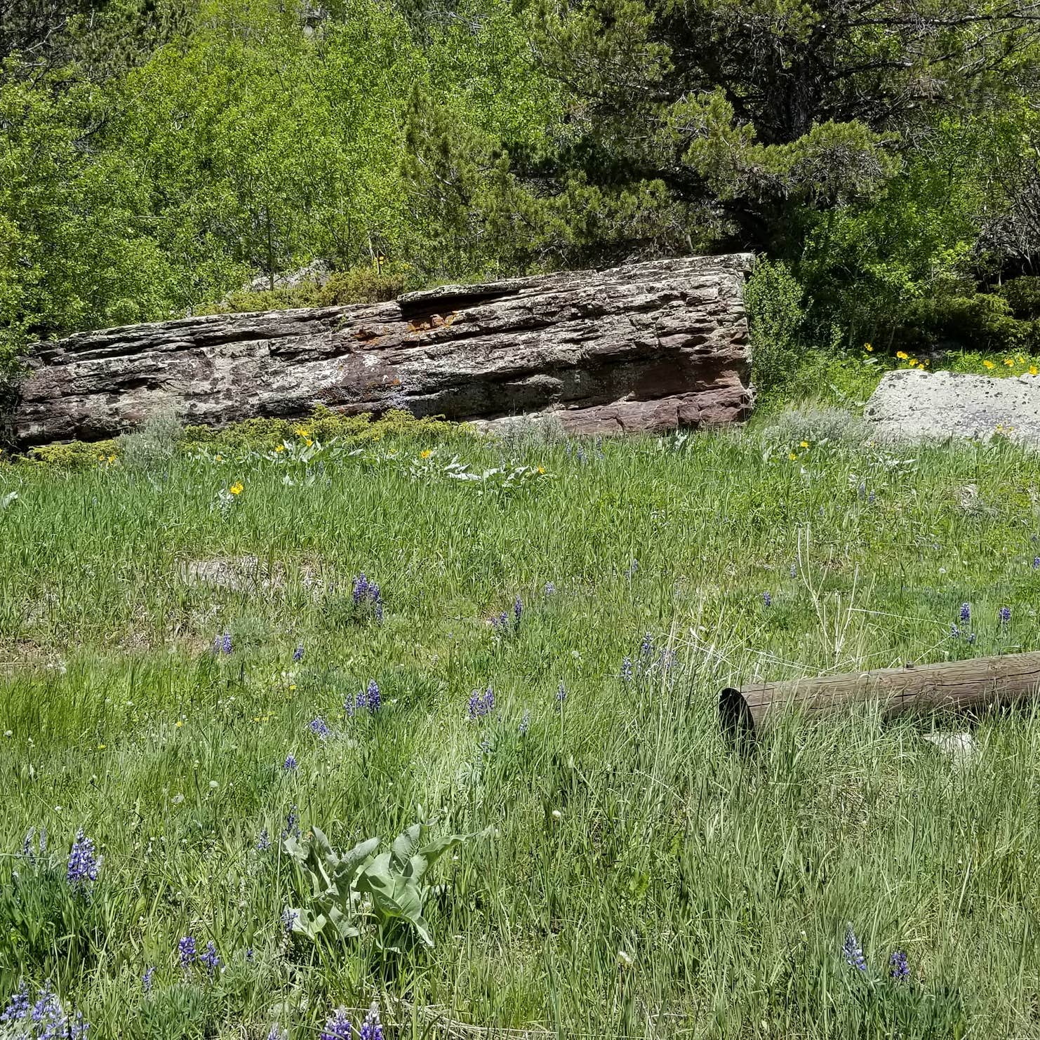 Middle Fork of The Powder River Campground | Lysite, Wyoming