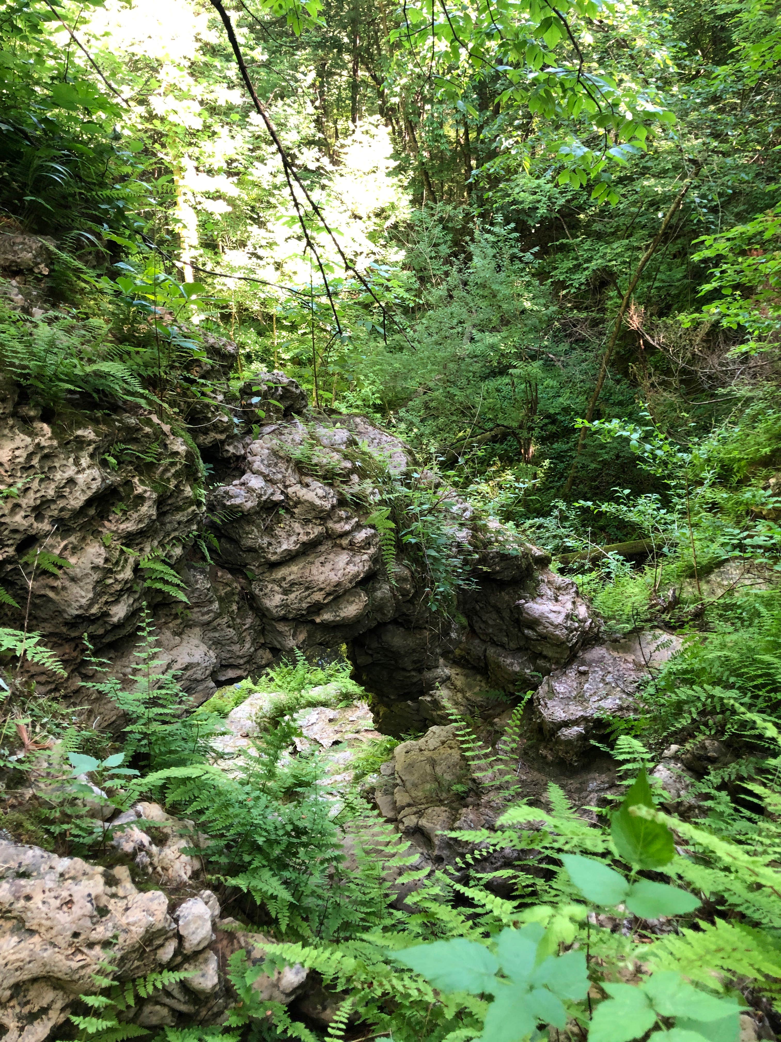 St. Croix Bluffs Regional Park Camping | Hastings, MN