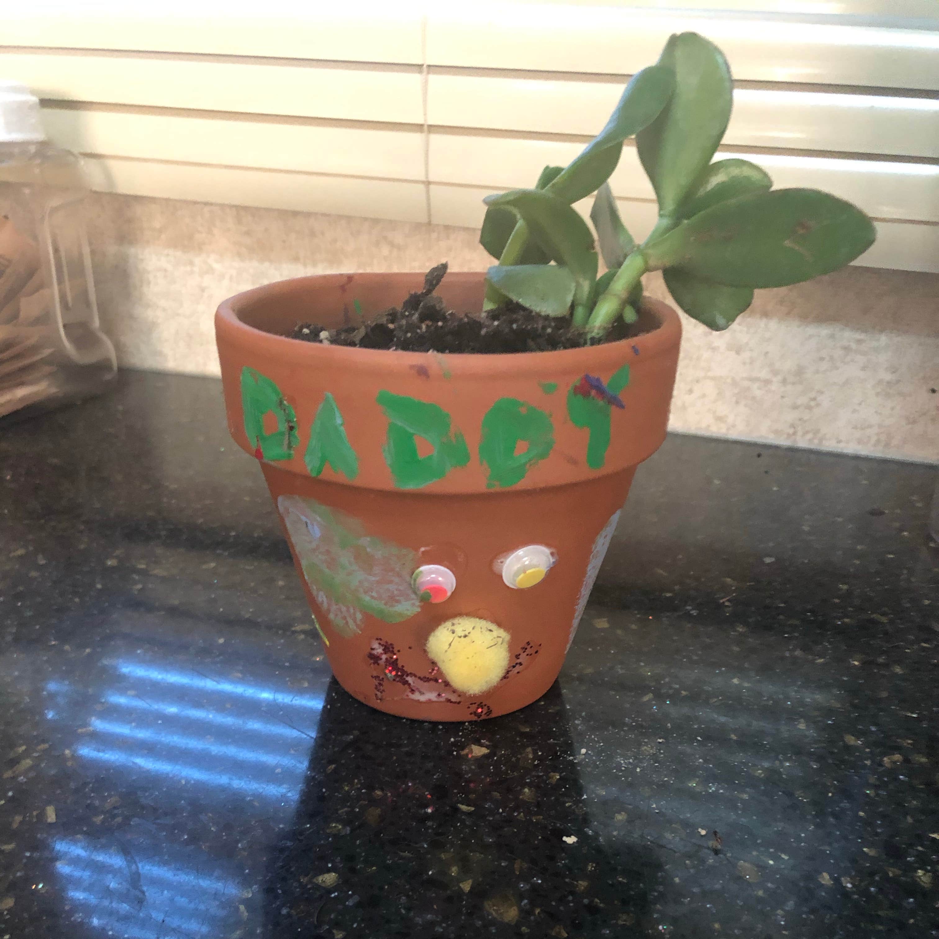 Islander RV Resort Camping | The Dyrt