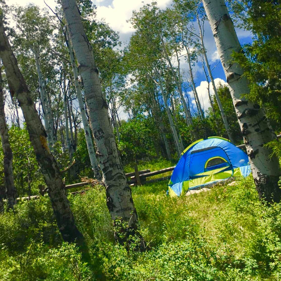 Mud Springs Campground | Glade Park, Colorado
