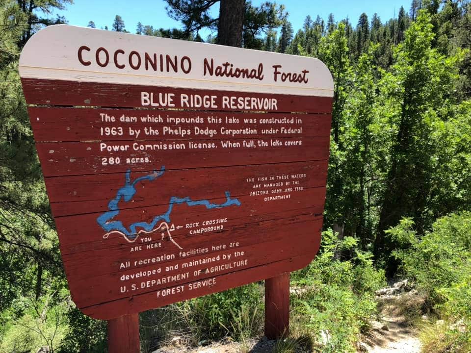 Blue Ridge Reservoir Camping | Happy Jack, Arizona