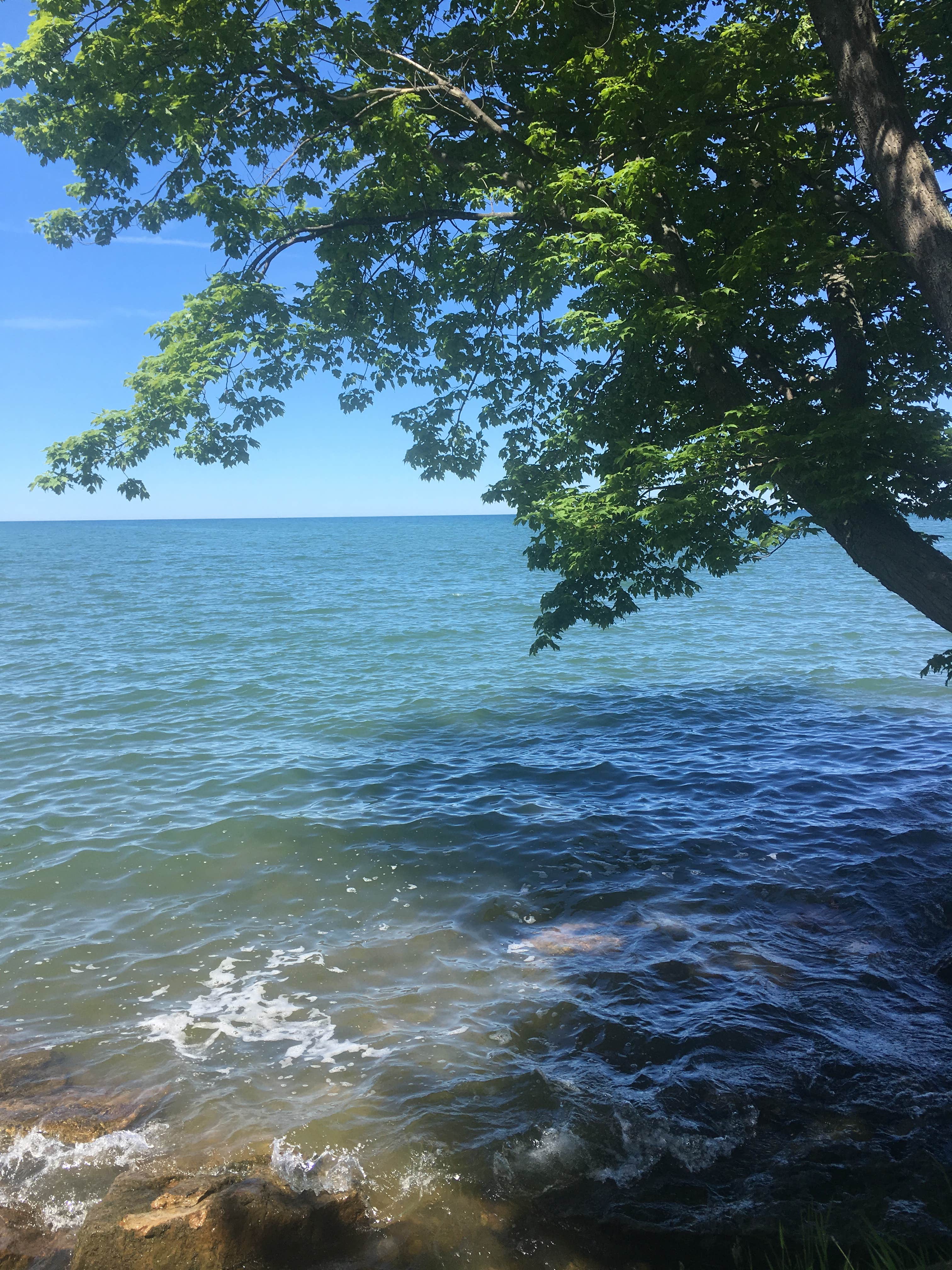 Caseville Park (Huron County Park) | The Dyrt