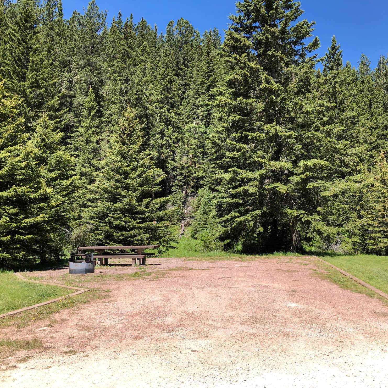 Ditch Creek Camping | Black Hills National Forest, South Dakota