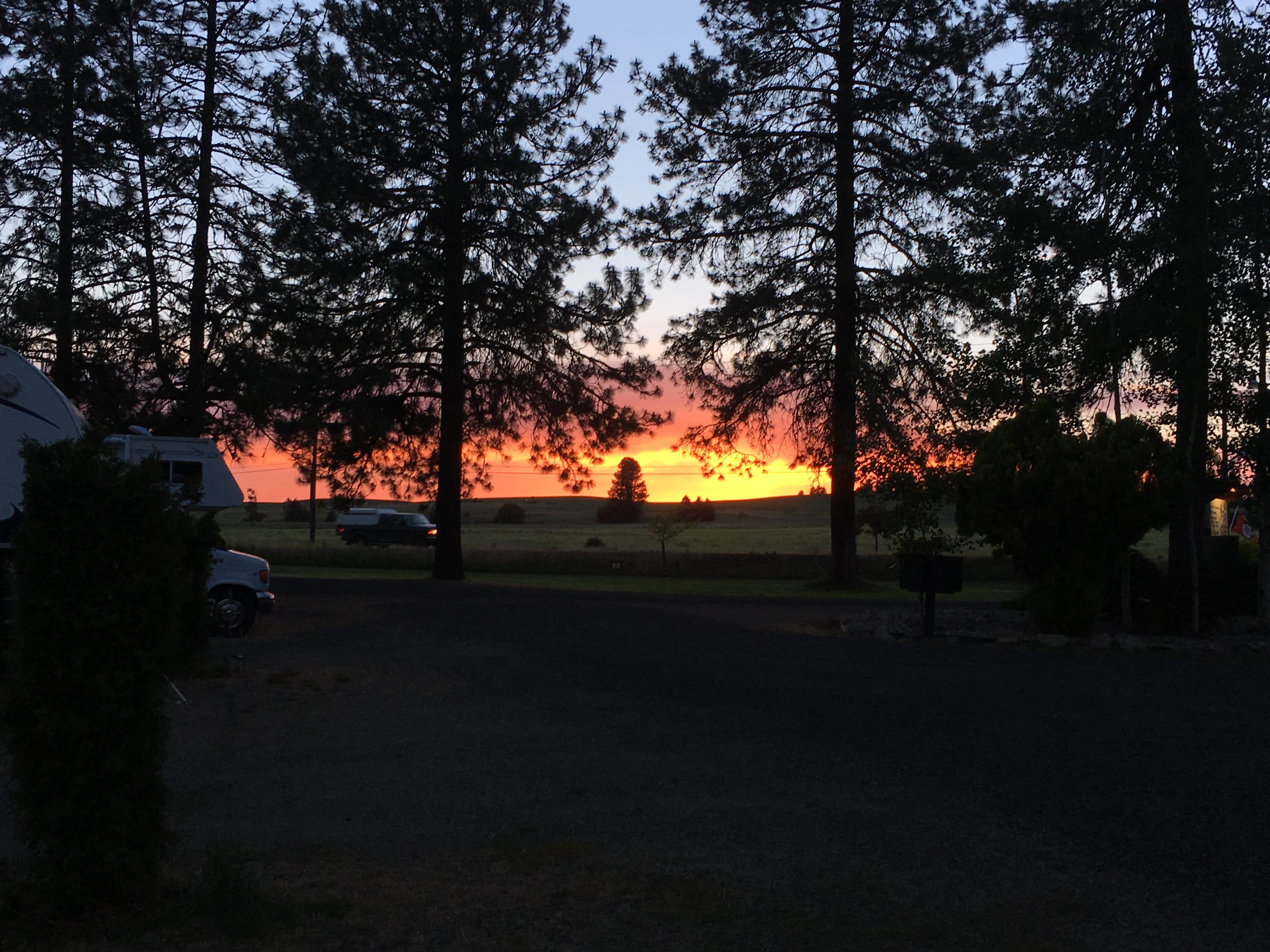 Peaceful Pines RV Park & Campground | Cheney, WA