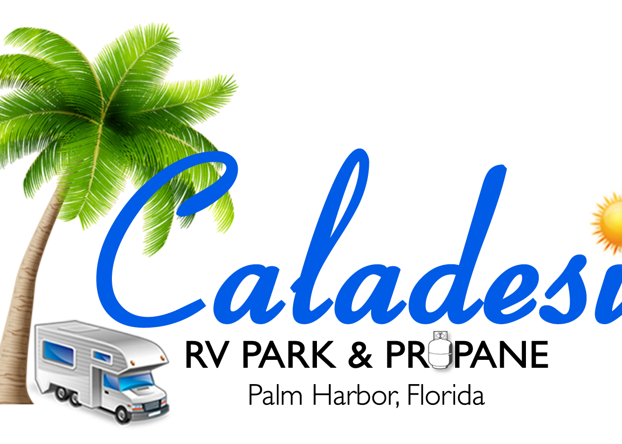 Caladesi RV Park Camping | The Dyrt