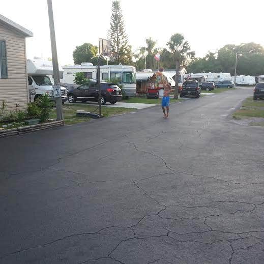 Caladesi RV Park Camping | The Dyrt