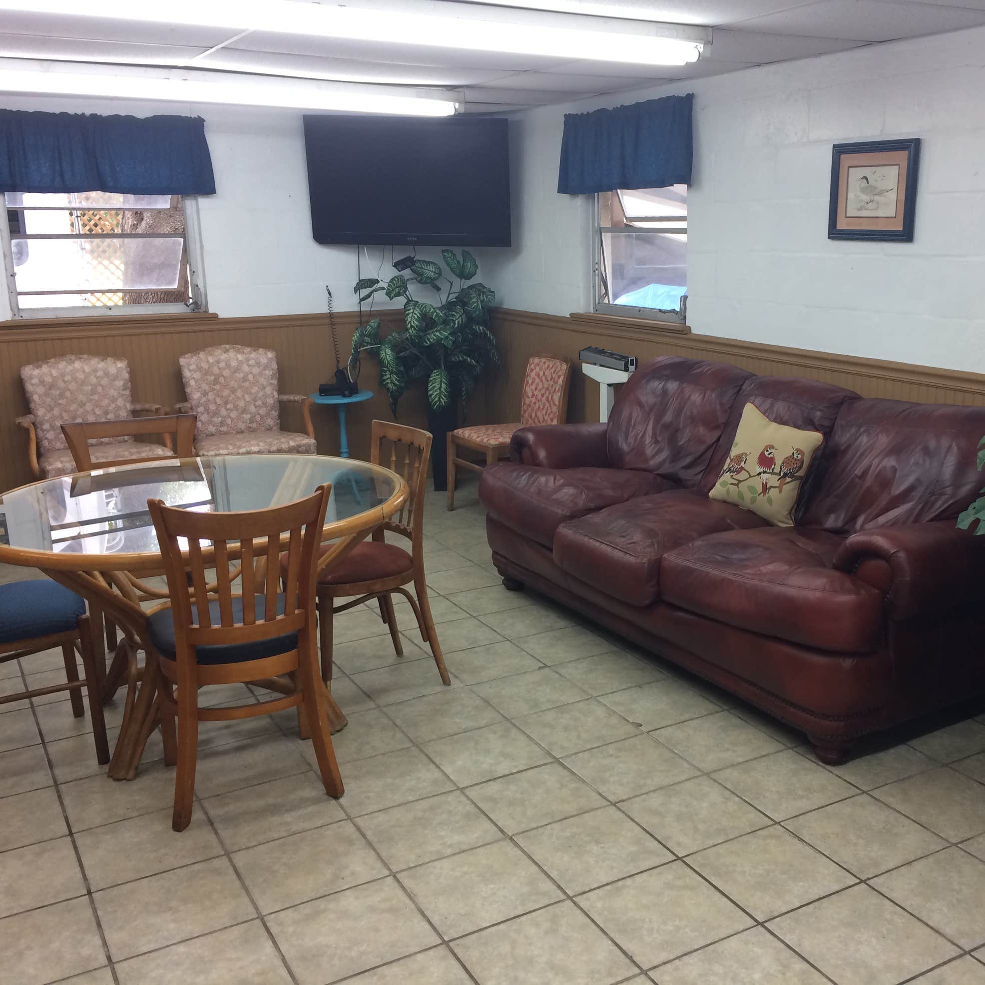 Caladesi RV Park Camping | The Dyrt