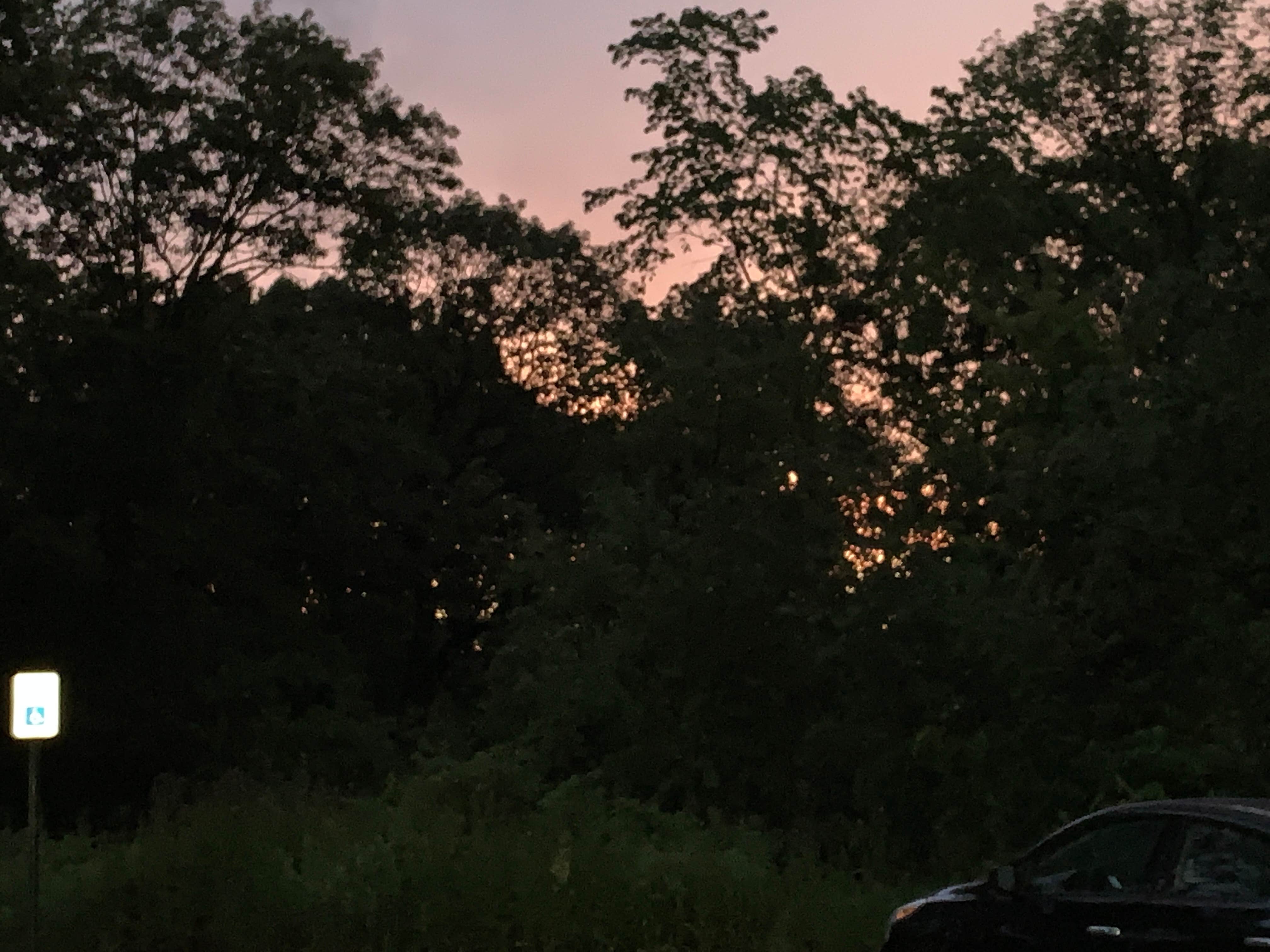 Camp Sullivan | Oak Forest, Illinois