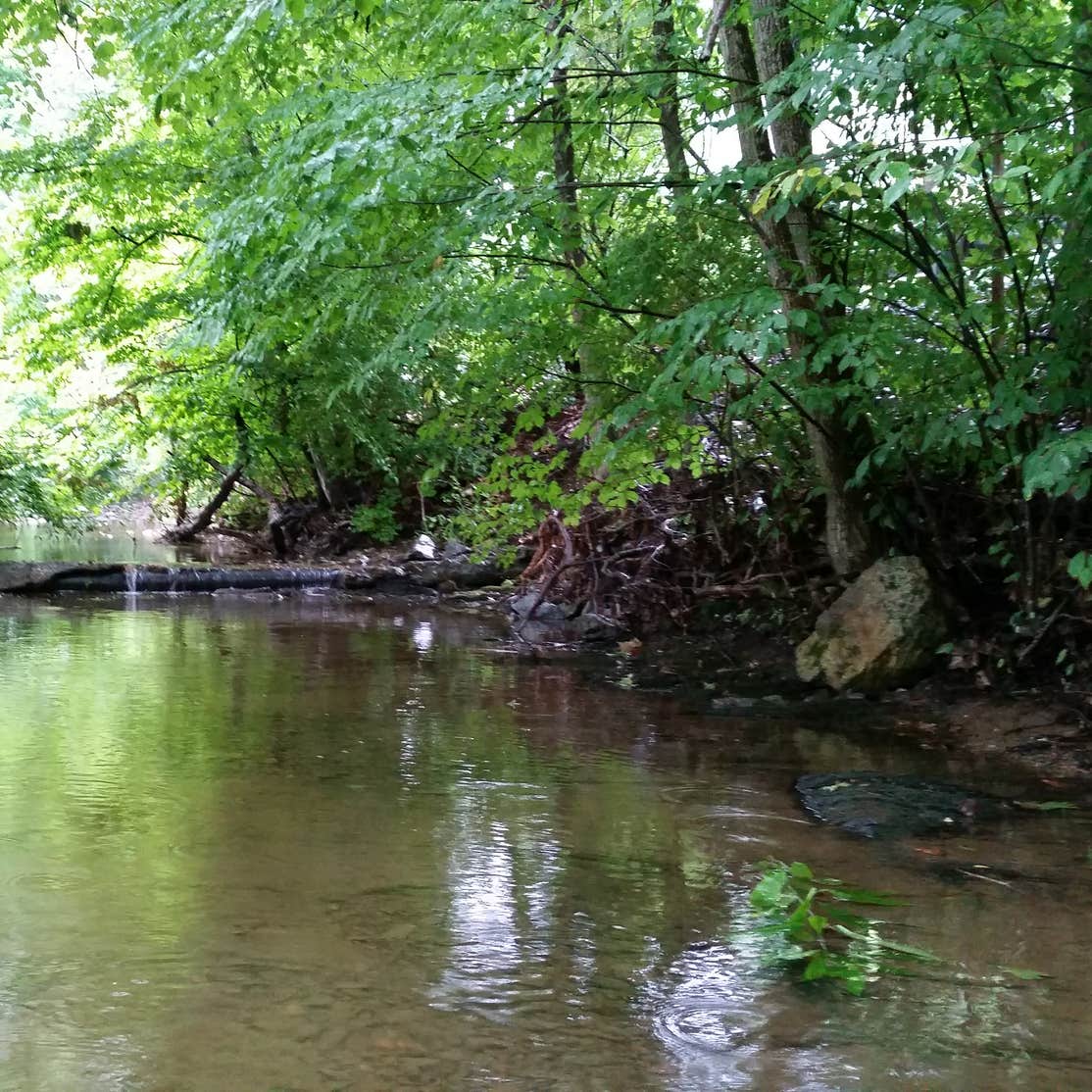 Monongahela National Forest Blue Bend Campground | White Sulphur ...