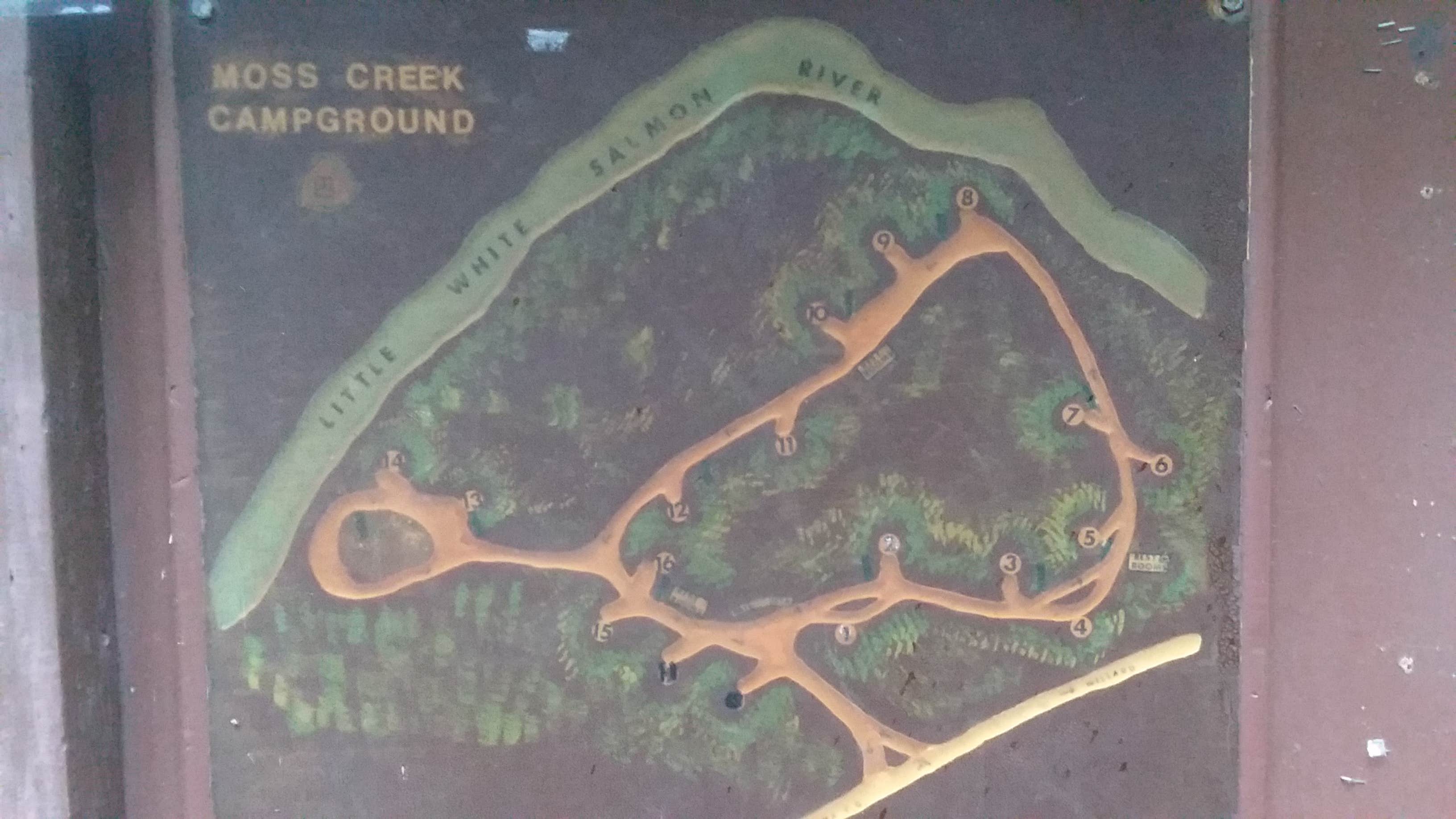 Moss Creek Campground | Carson, WA