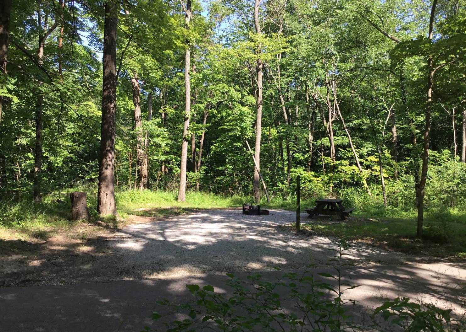 Oak Ridge Morgan-Monroe State Forest Camping | The Dyrt