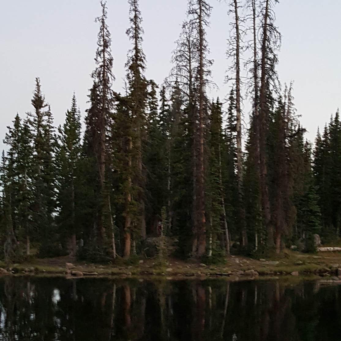 Butterfly Campground — Uinta Wasatch Cache National Forest | Oakley, Utah
