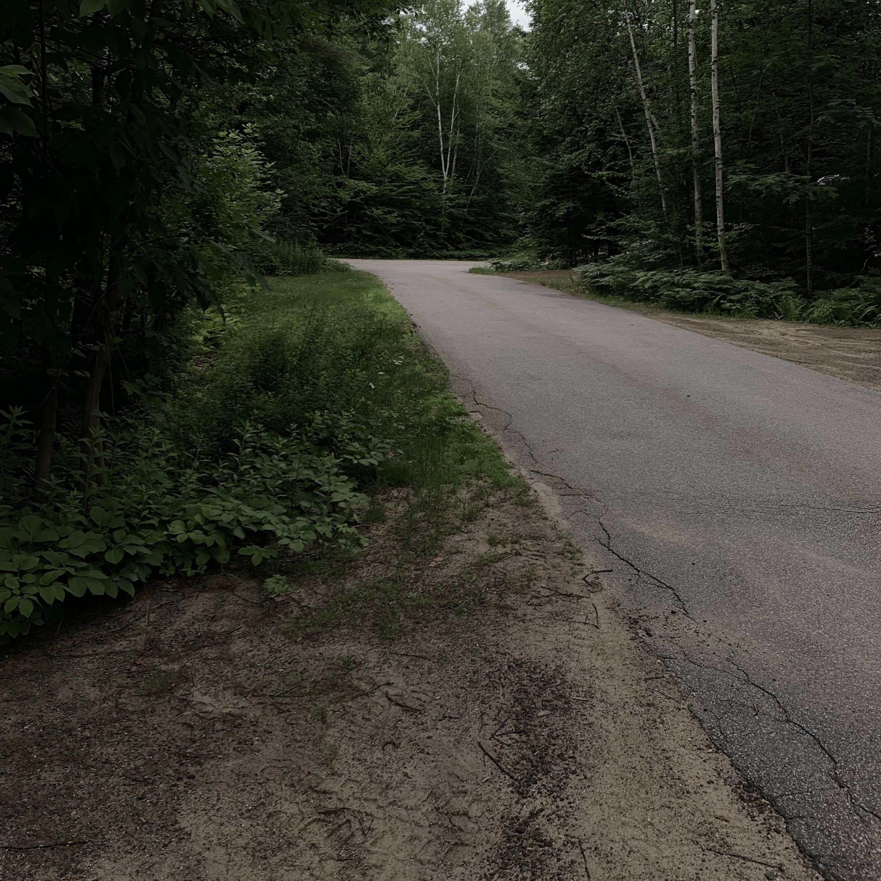 Meredith Woods Four Season Camping Camping | The Dyrt