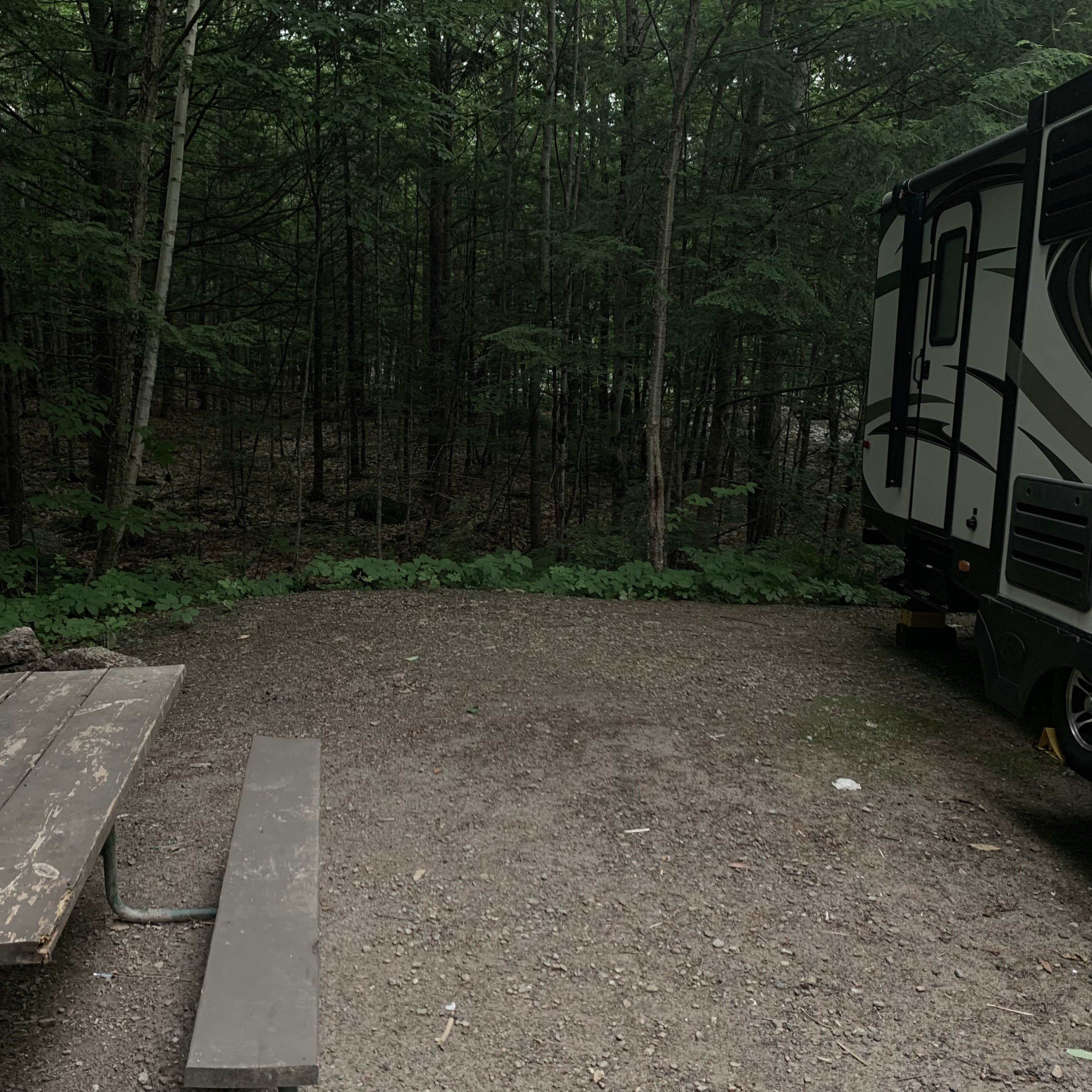 Meredith Woods Four Season Camping Camping | The Dyrt