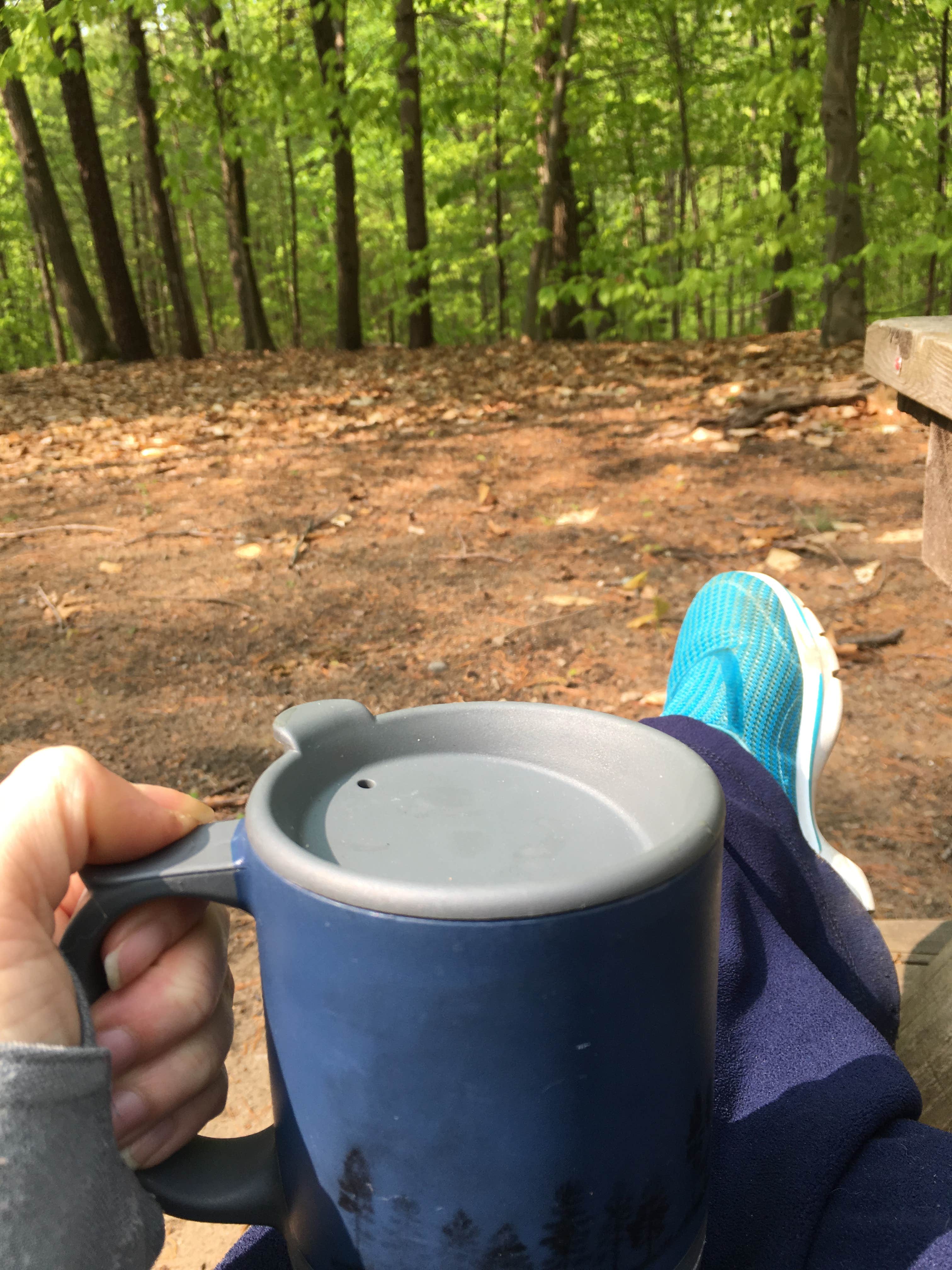 Moreau Lake State Park Campground | Gansevoort, NY