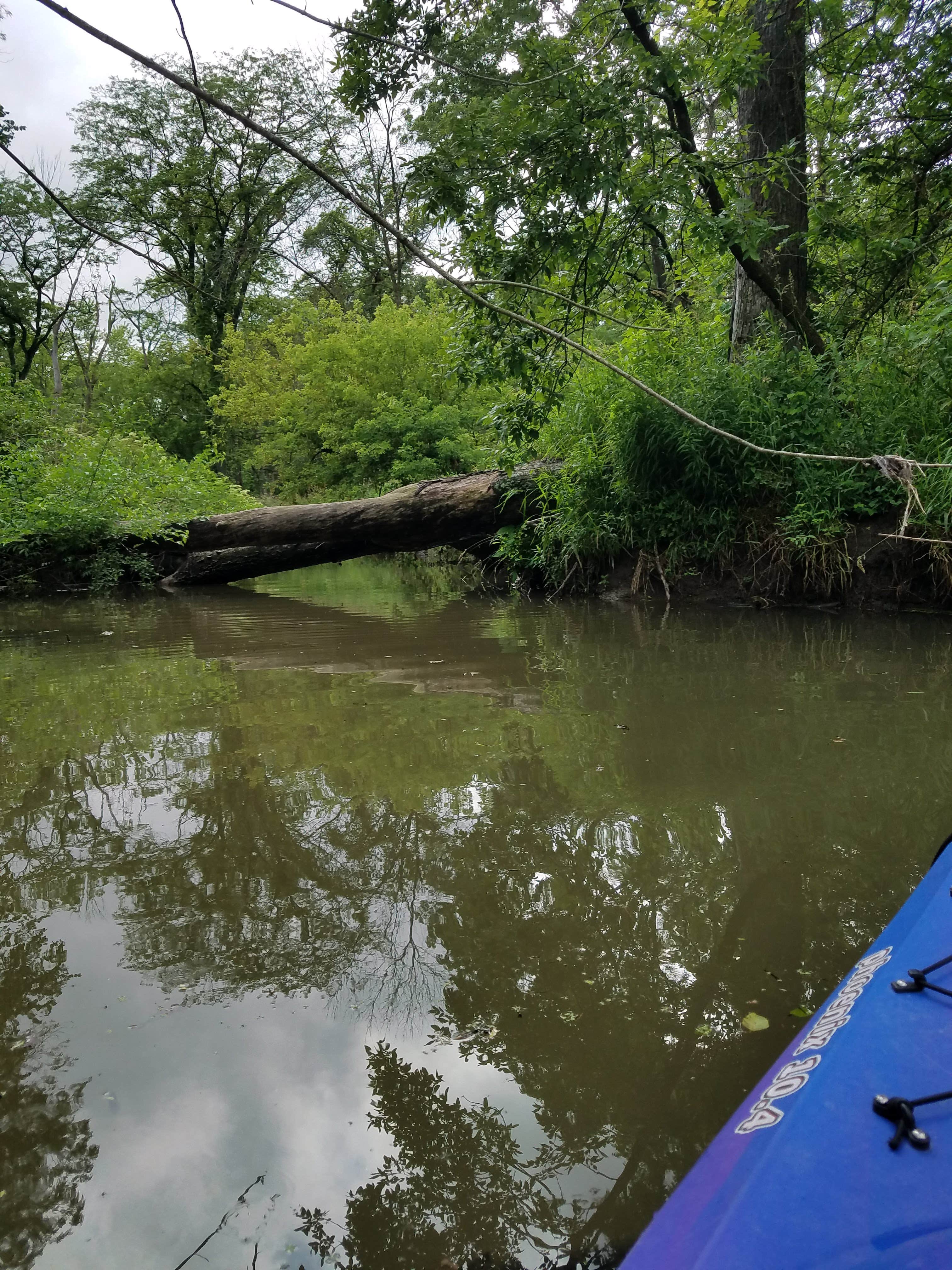 Lake Darling State Park Campground | Brighton, Iowa