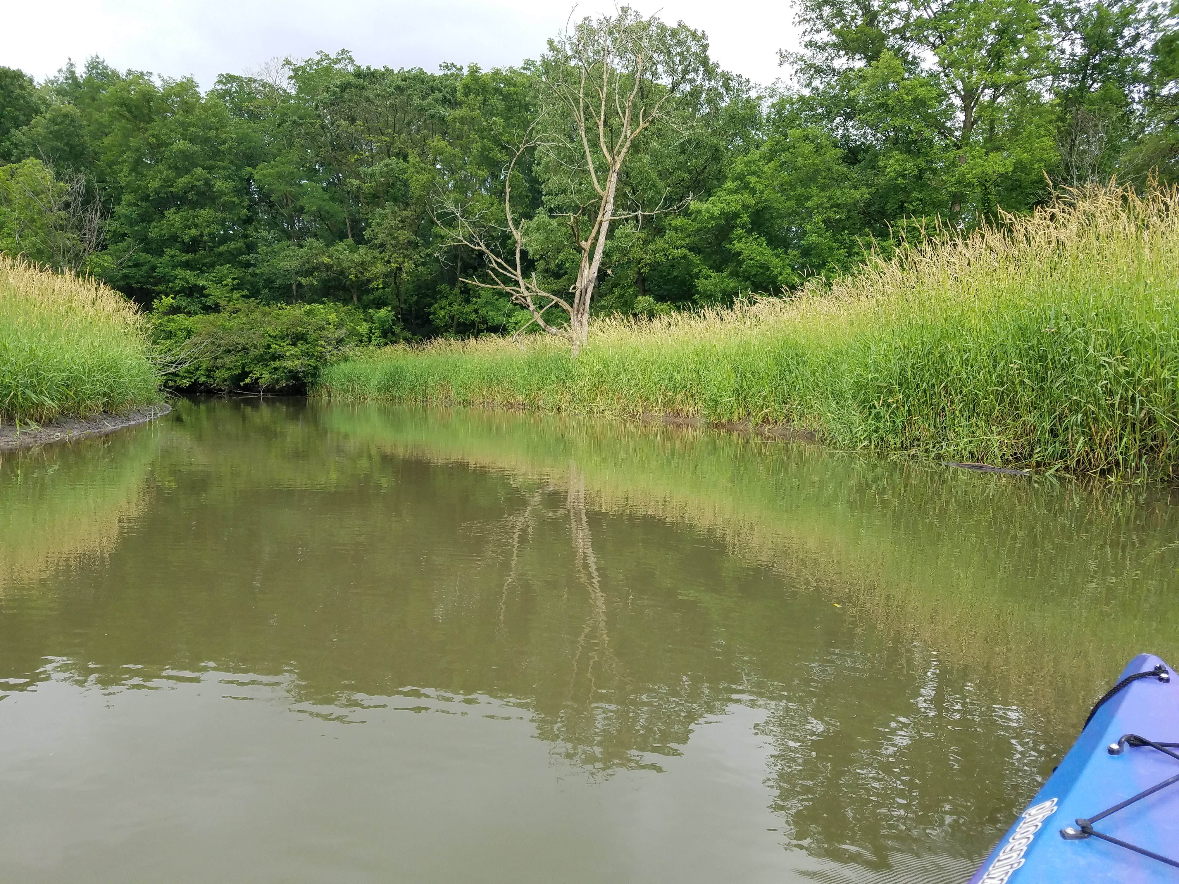 Lake Darling State Park Campground | Brighton, IA