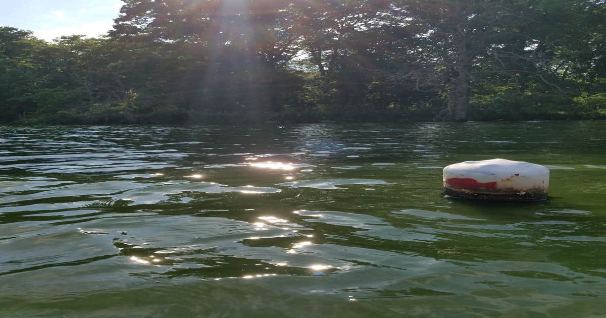 Lake Darling State Park Campground | Brighton, IA