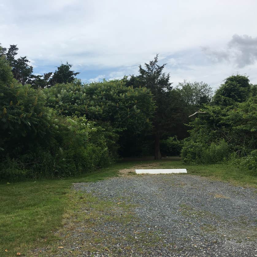 Scusset Beach State Reservation Camping | The Dyrt