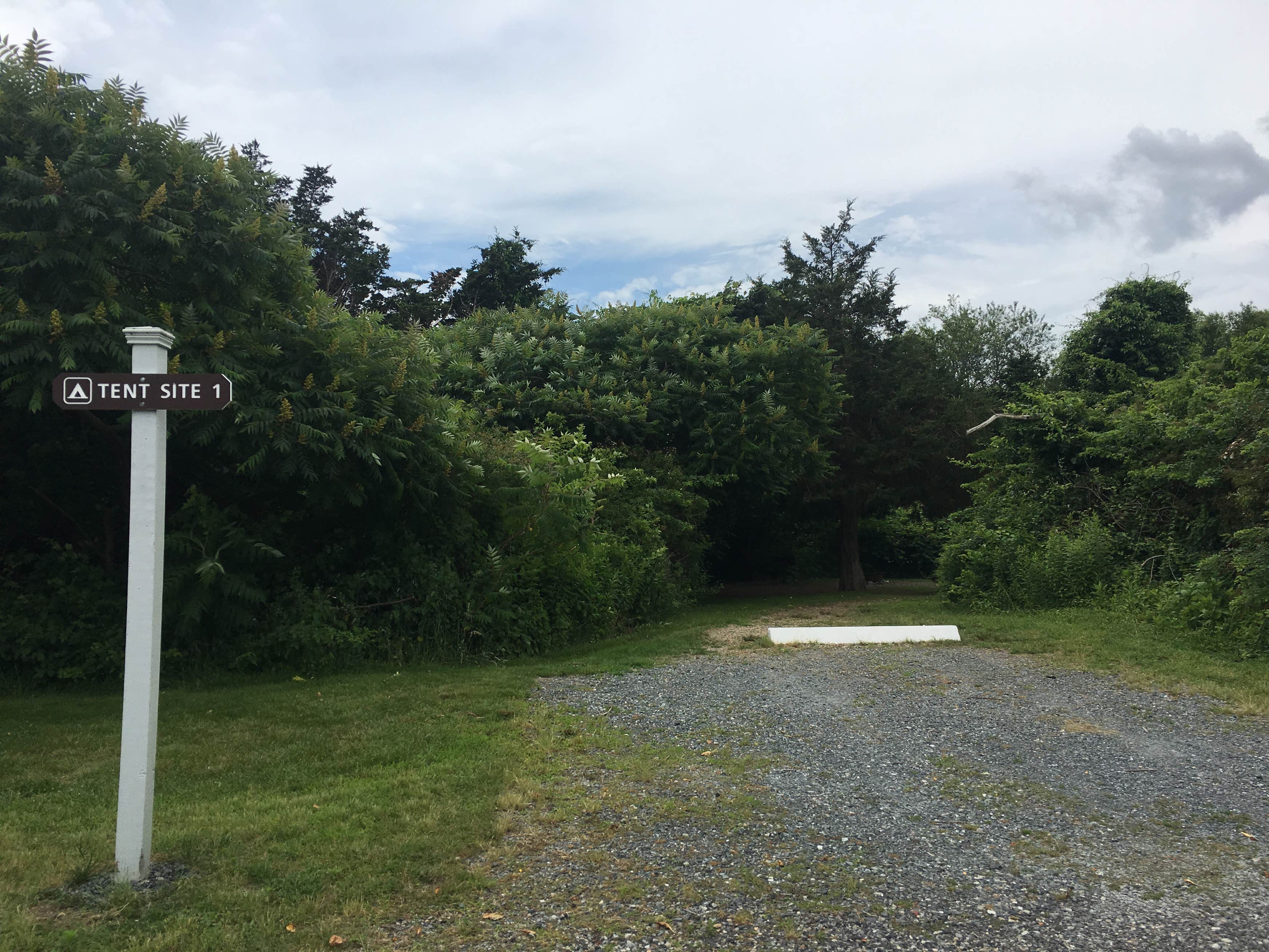 Scusset Beach State Reservation Camping | The Dyrt