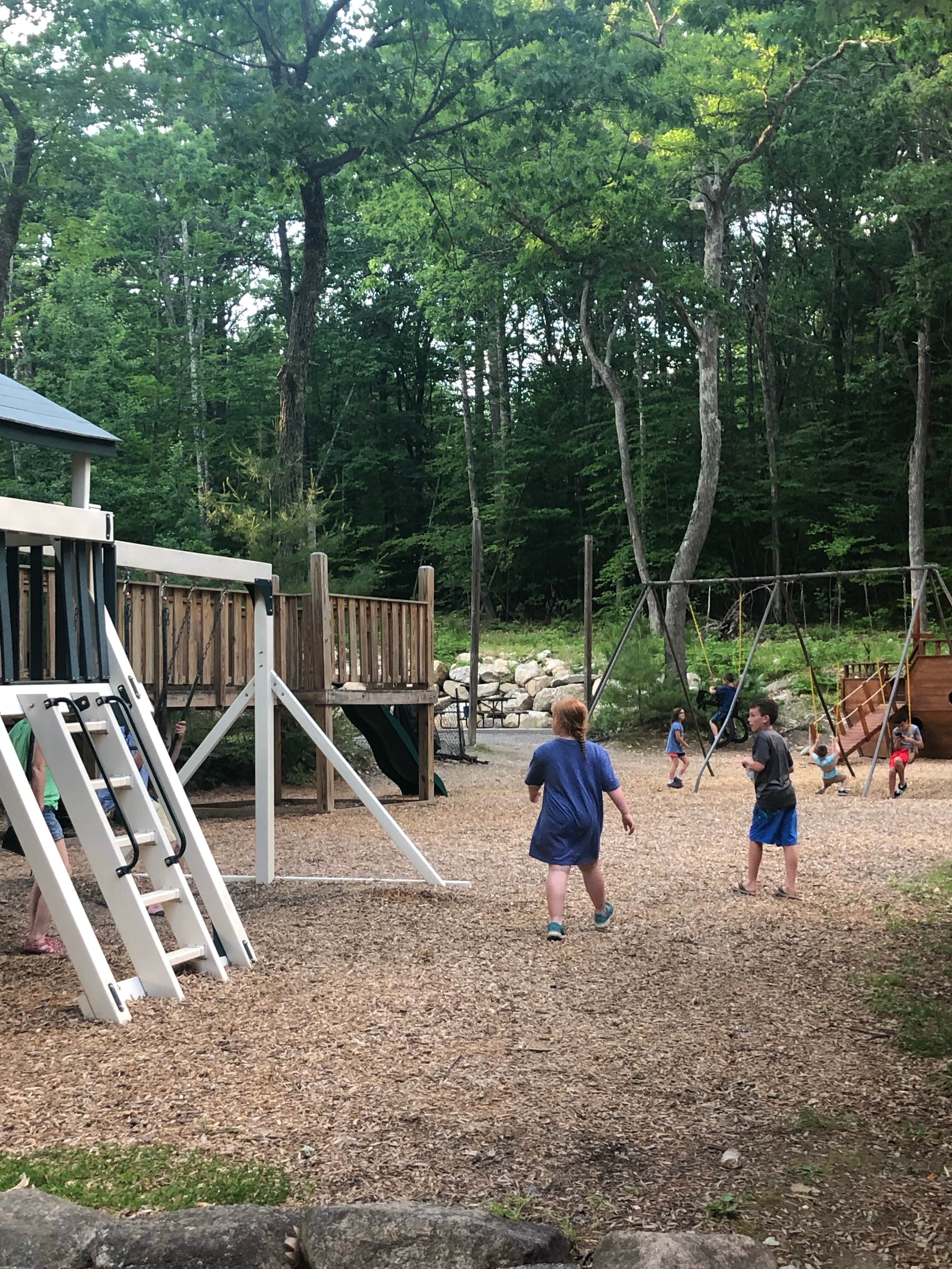 Naples Family Campground Loon's Haven Family Campground In Naples,