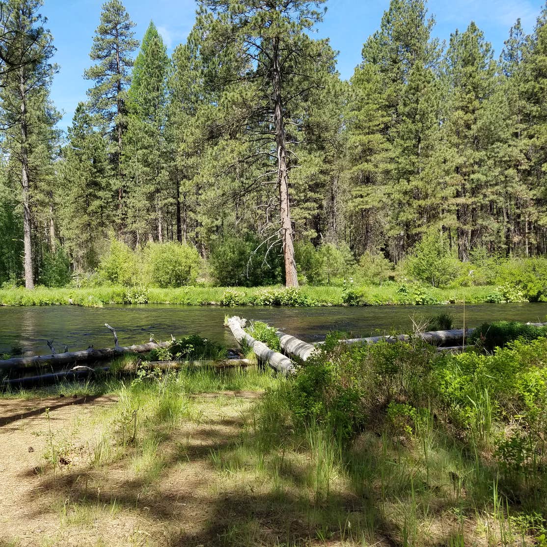 Camp Sherman Campground Camping | The Dyrt