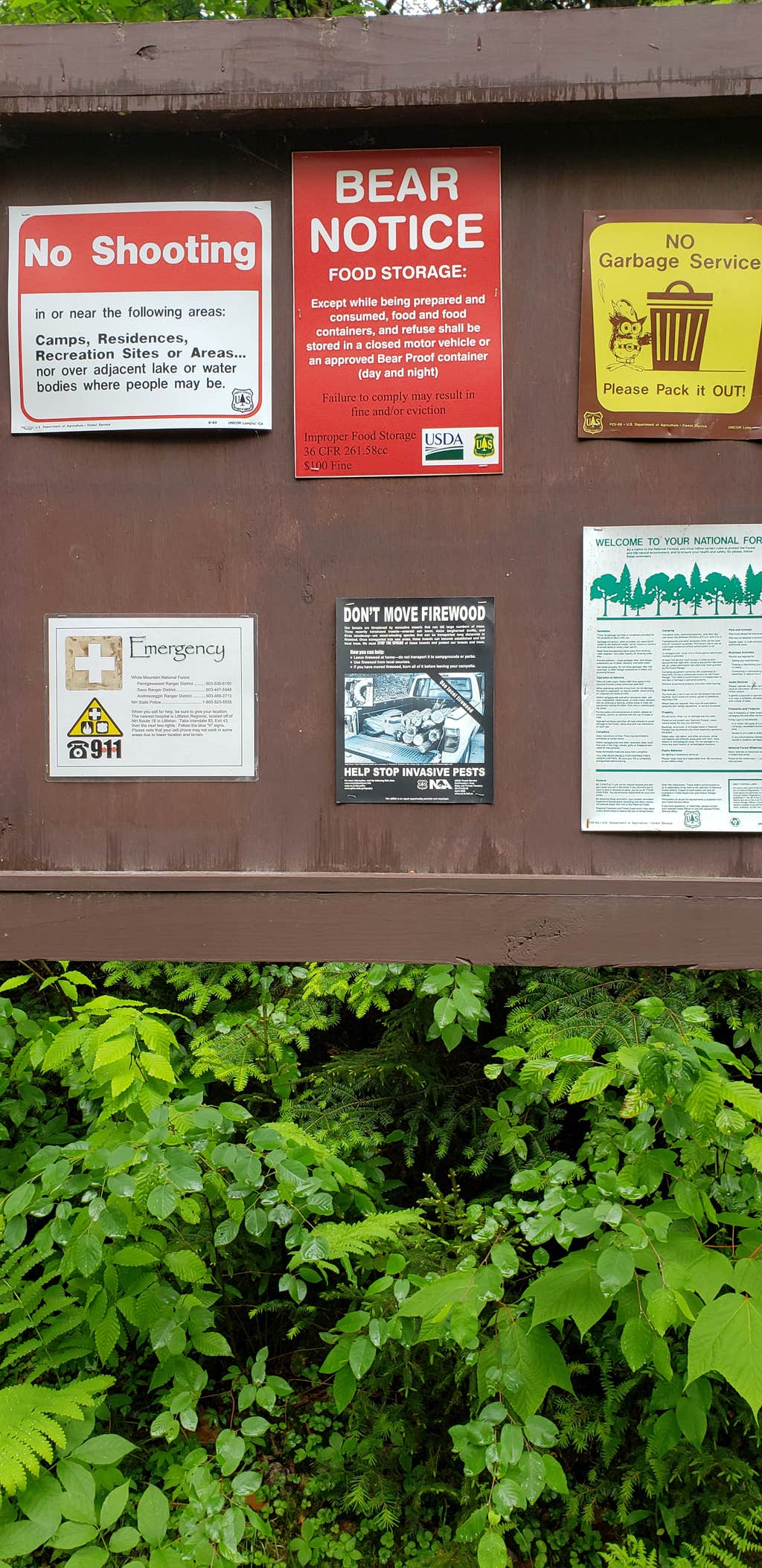 Gale River Loop Road | The Dyrt