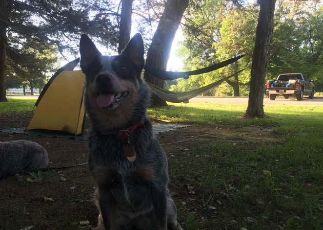 Pawnee Lake State Recreation Area / Lakeview Campground Camping | The Dyrt