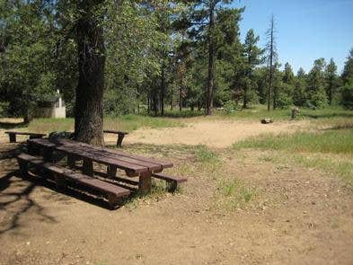 Laguna Campground | Mount Laguna, California