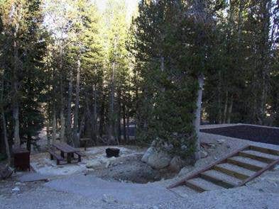 Mount Rose Campground | markleeville, CA