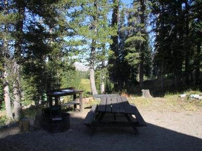 Big Trinity Cabin | Mountain home, ID
