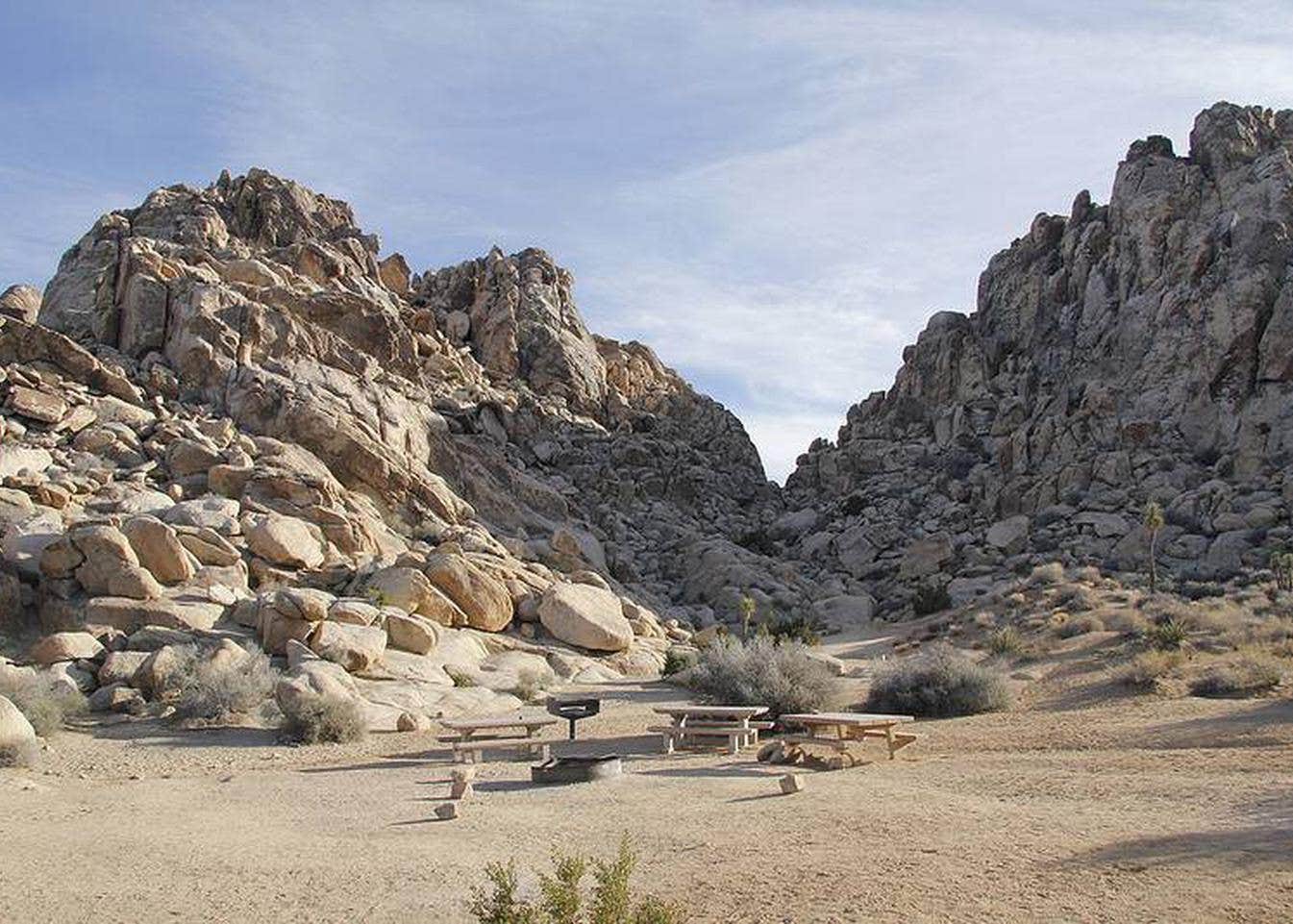 Joshua Tree National Park Sheep Pass Campground Camping | The Dyrt