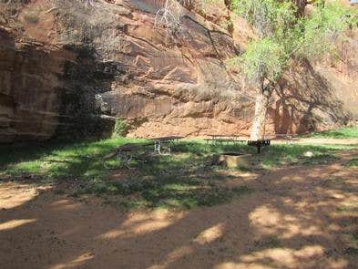 Moonflower Canyon Group Site Camping | Moab, UT