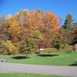 Willow Bay Recreation Area Camping | The Dyrt