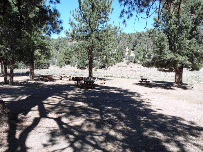 Juniper Springs Group Campground Camping | The Dyrt