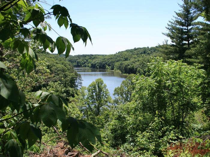 Lake Vesuvius Recreation Area Camping | Pedro, OH | The Dyrt