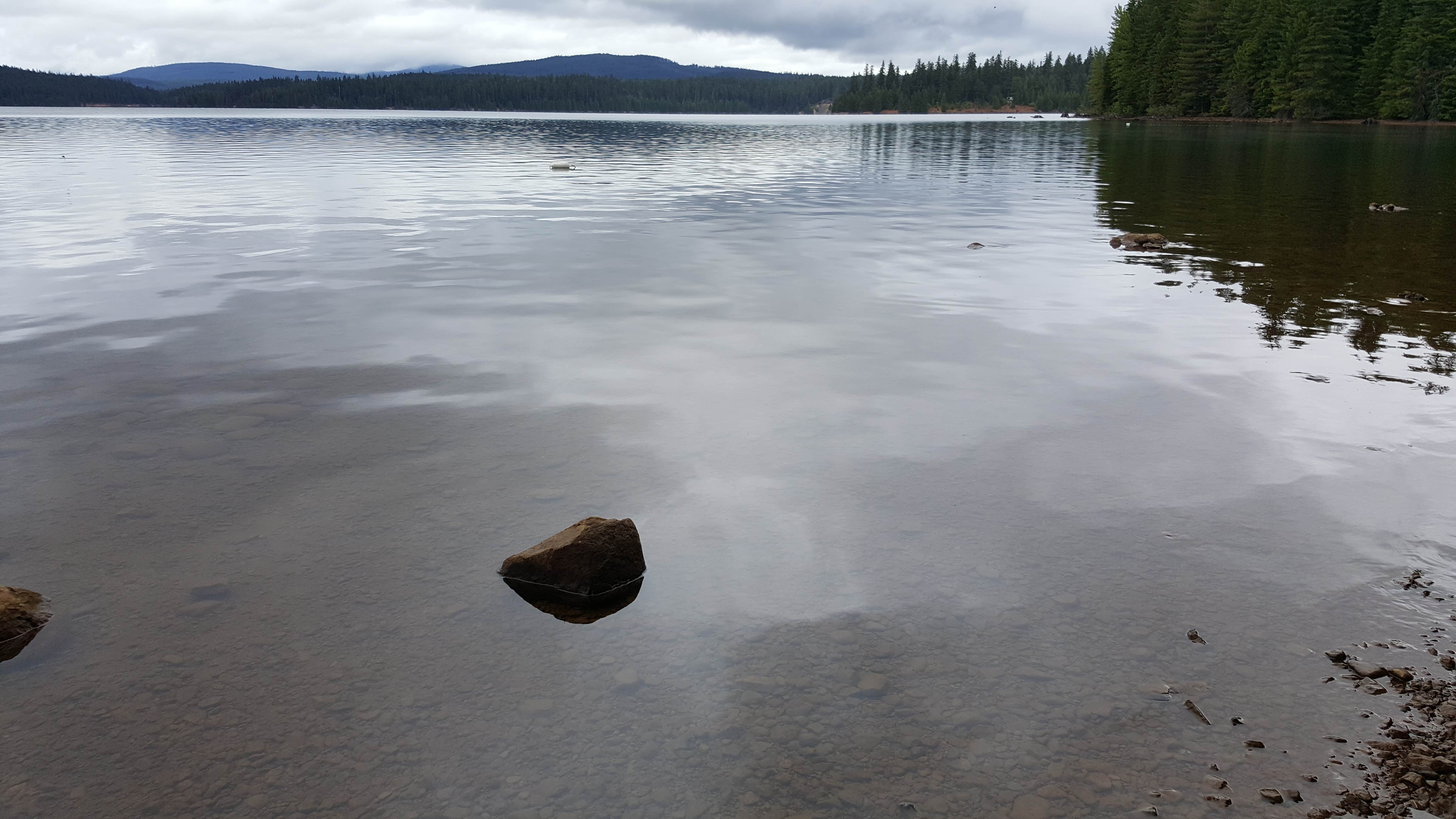 North Arm (Timothy Lake) Campground | The Dyrt