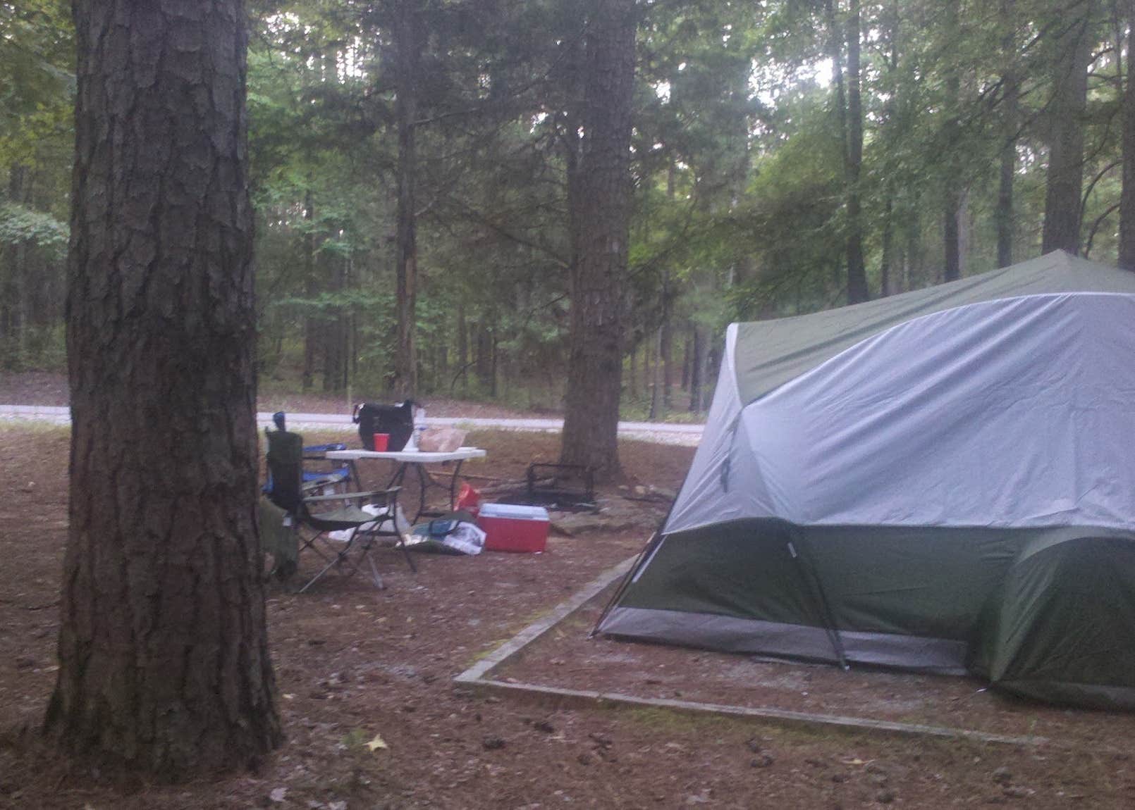 Parsons Mountain Lake Camping | The Dyrt