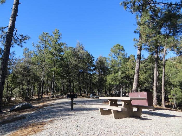 Rose Canyon Campground | Willow Canyon, Arizona